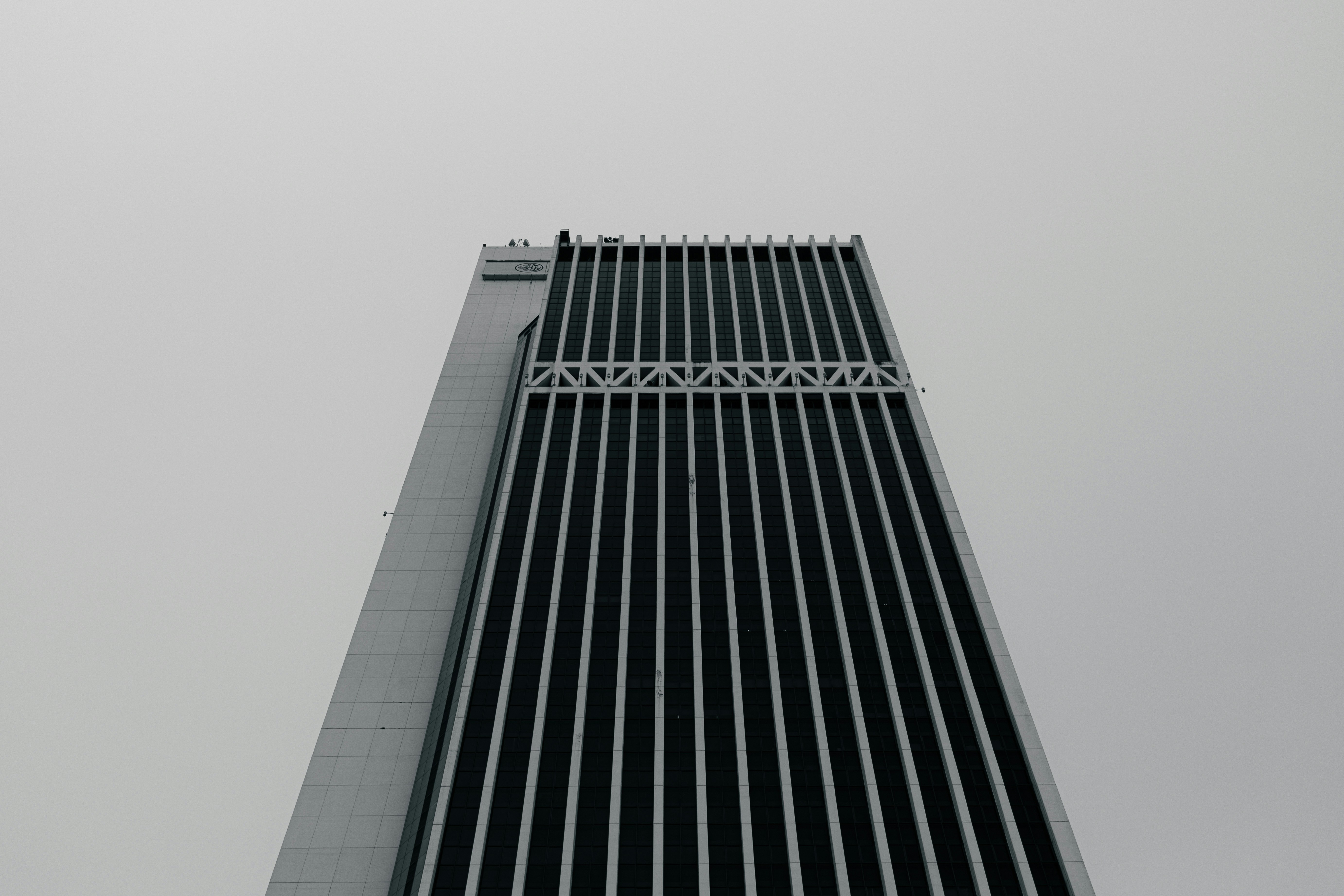 Vertical Gridline Monolith Rising: A Skyscraper in Monochrome