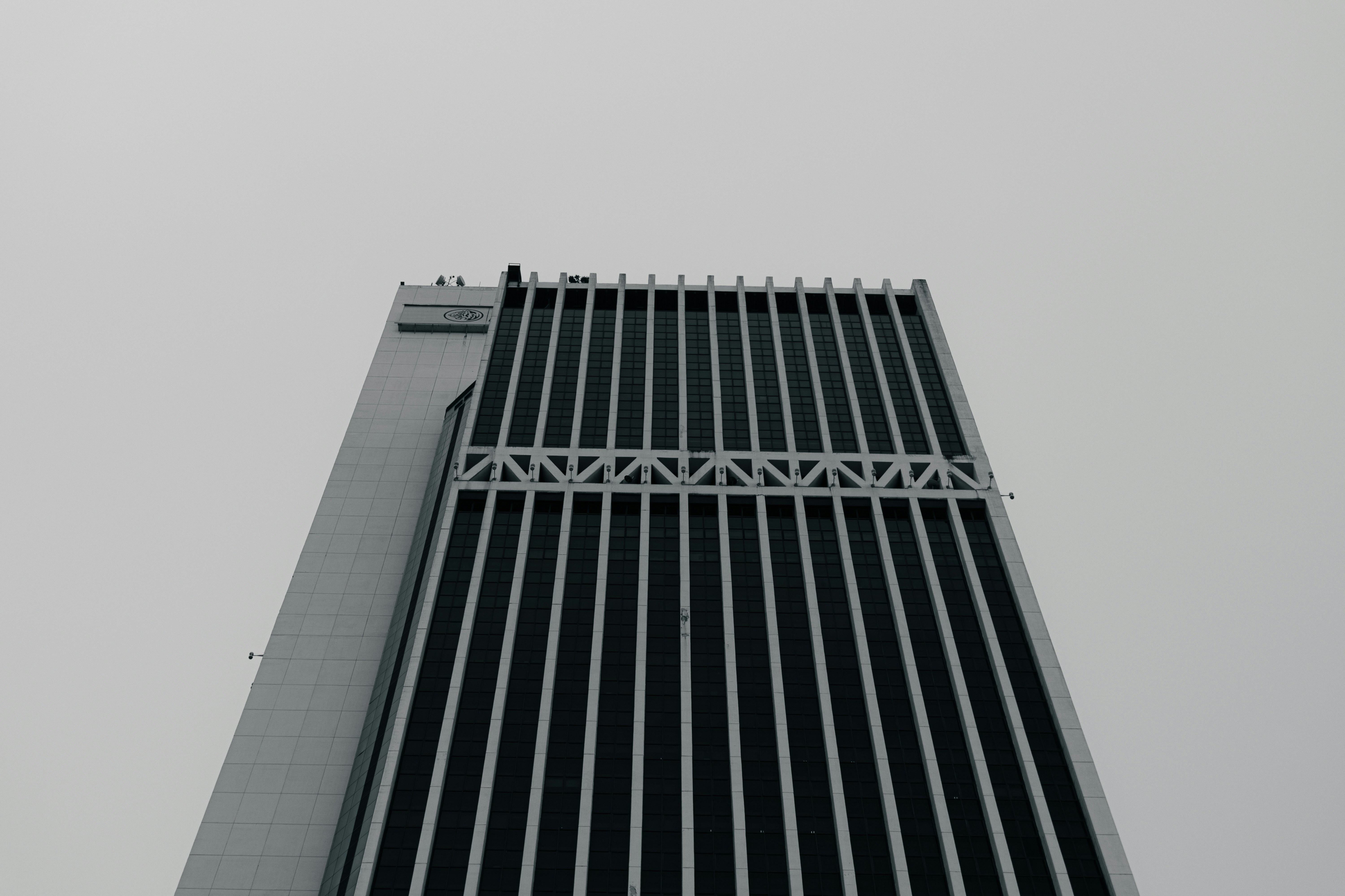 Skyward Grids: A Monolithic Facade Reaches Toward the Overcast