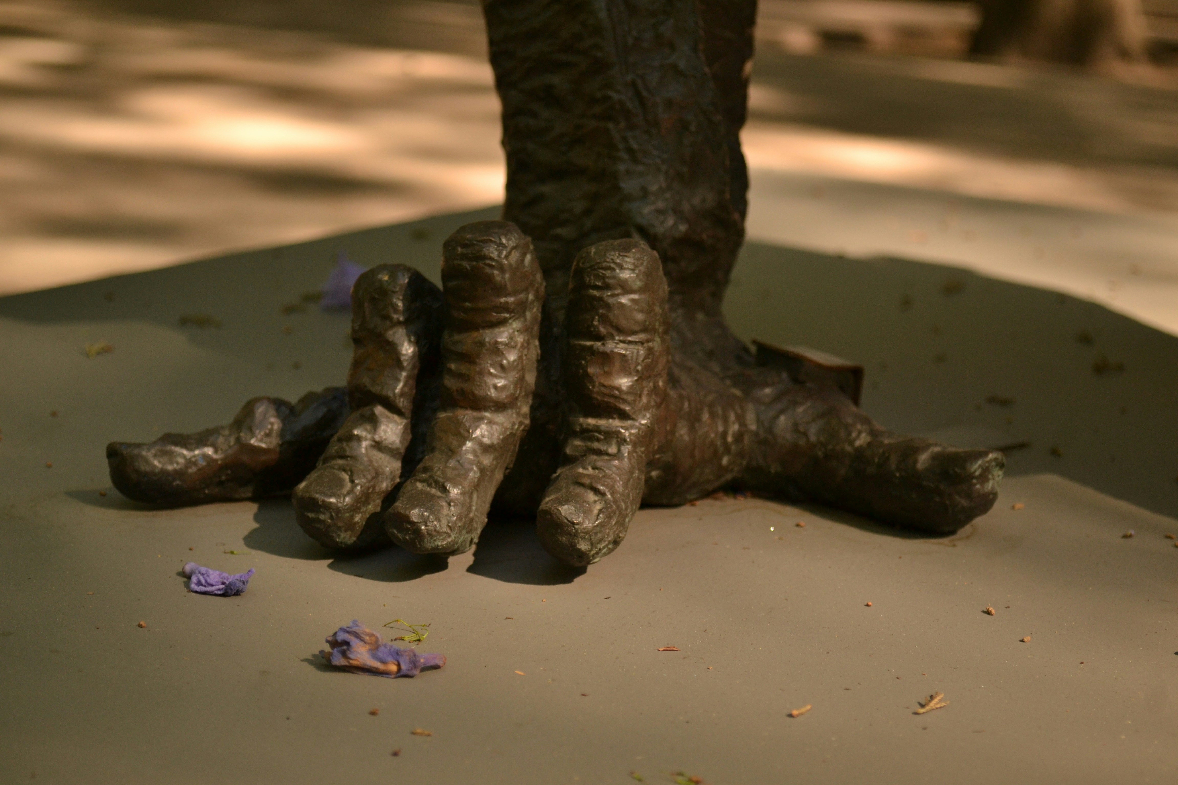 Mud-caked talons anchor a toppled stance on a sunlit surface