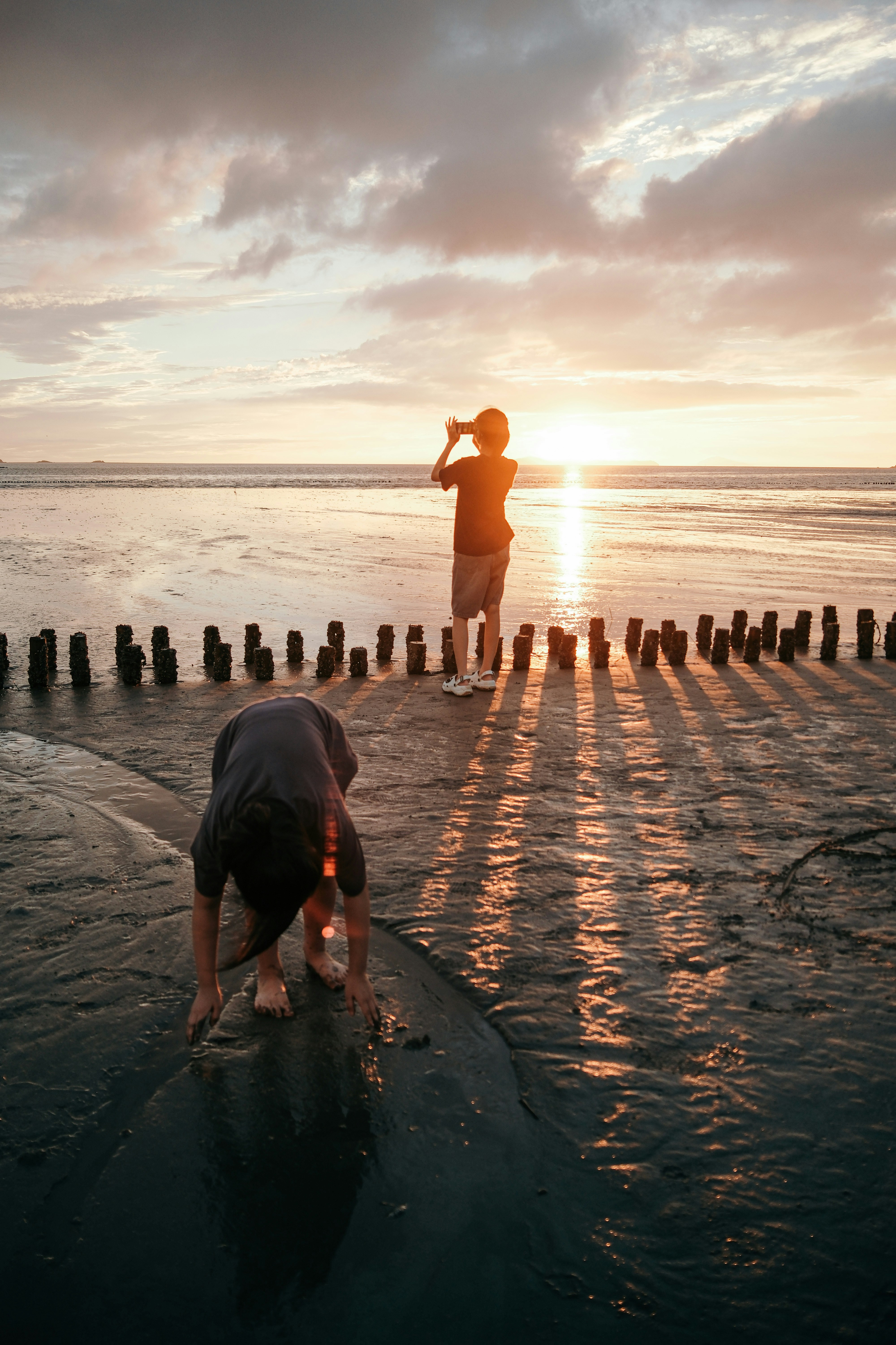 Sunlit Limbs and Wooden Markers: A Beach Moment at Dusk