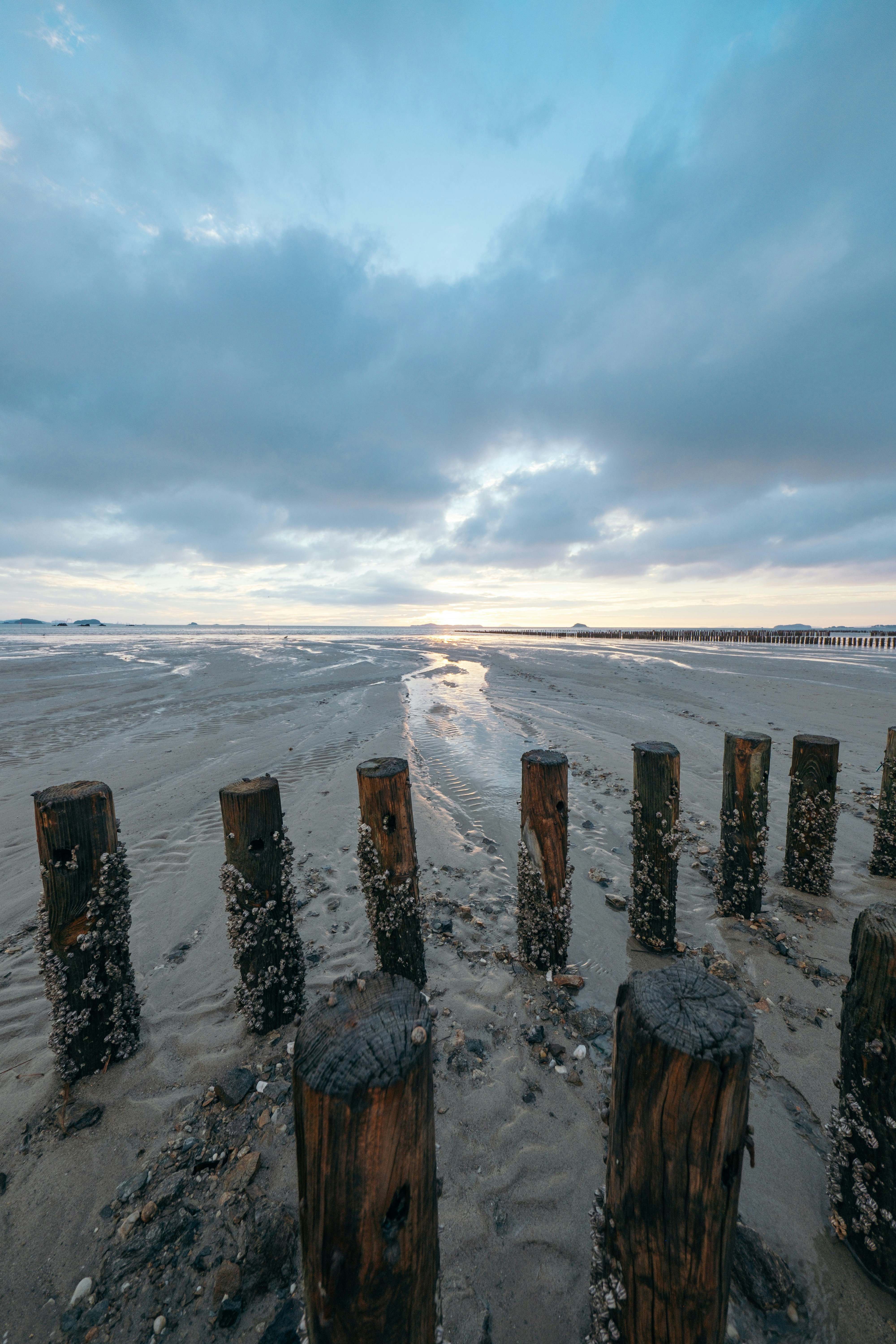 Sunset Path: Wooden Pylons Framing a Quiet Tidal Plain