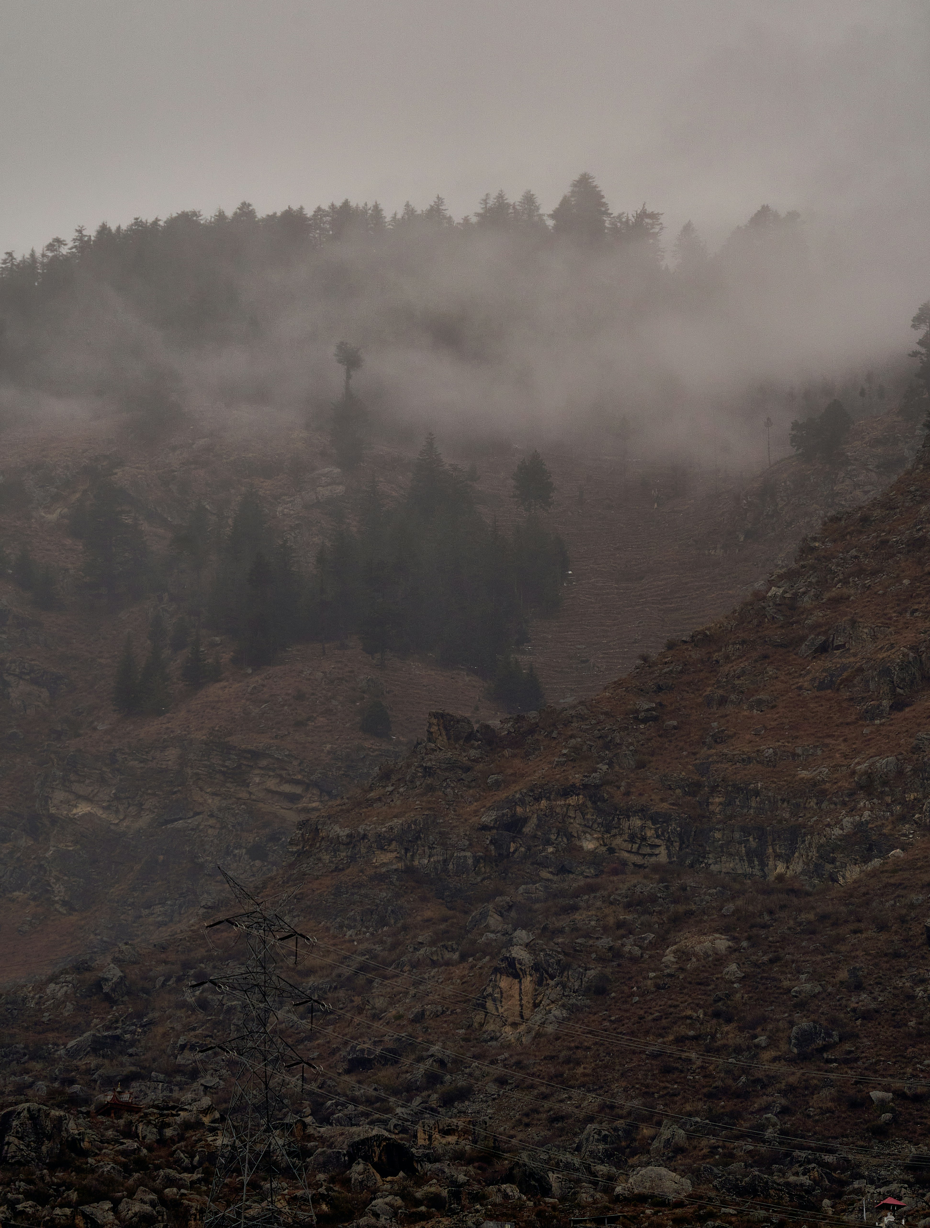 Mist on the Ridge: Fragile Light in a Rocky Ascent