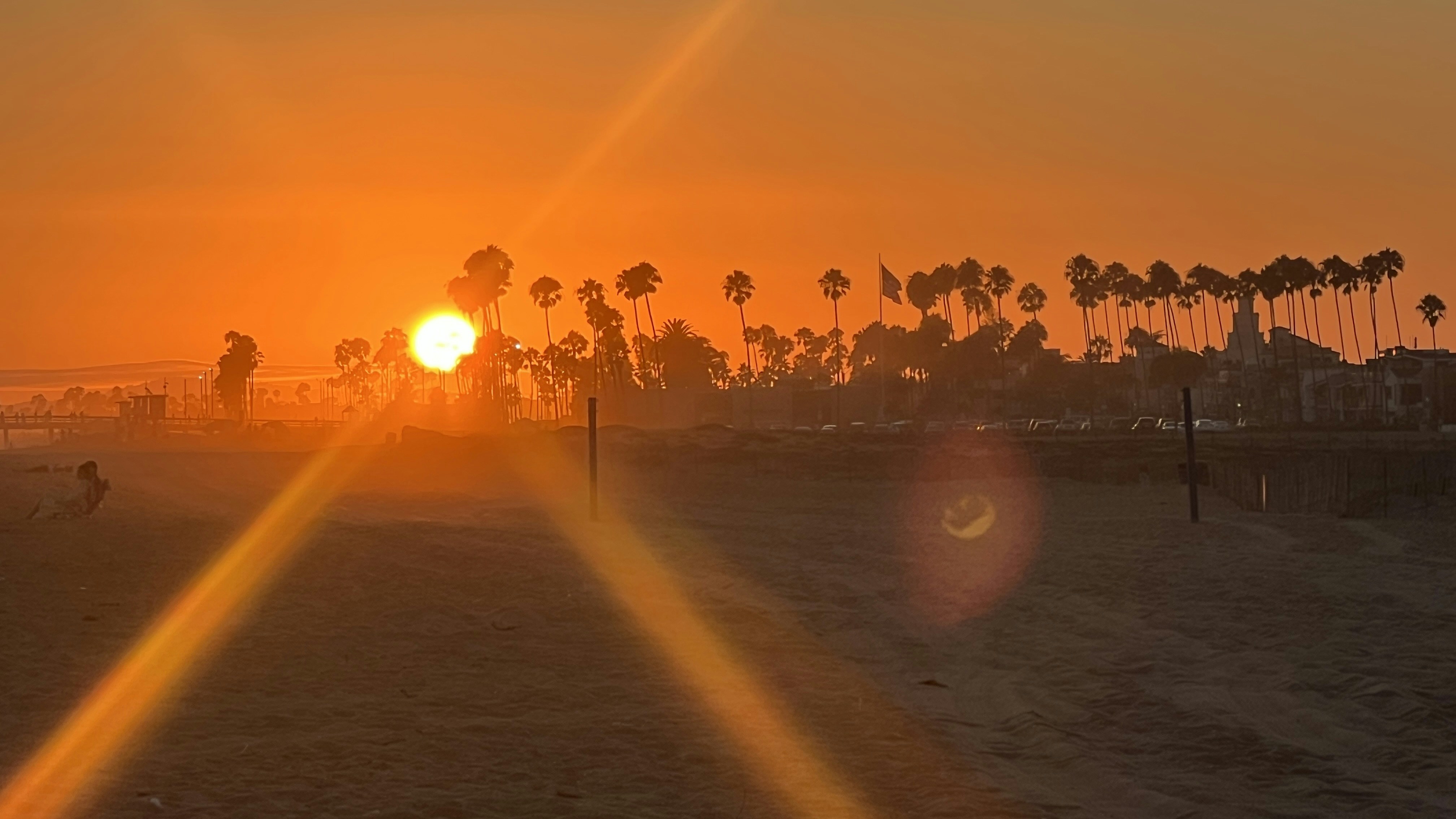Sunrise on the Palm-Lined Shore