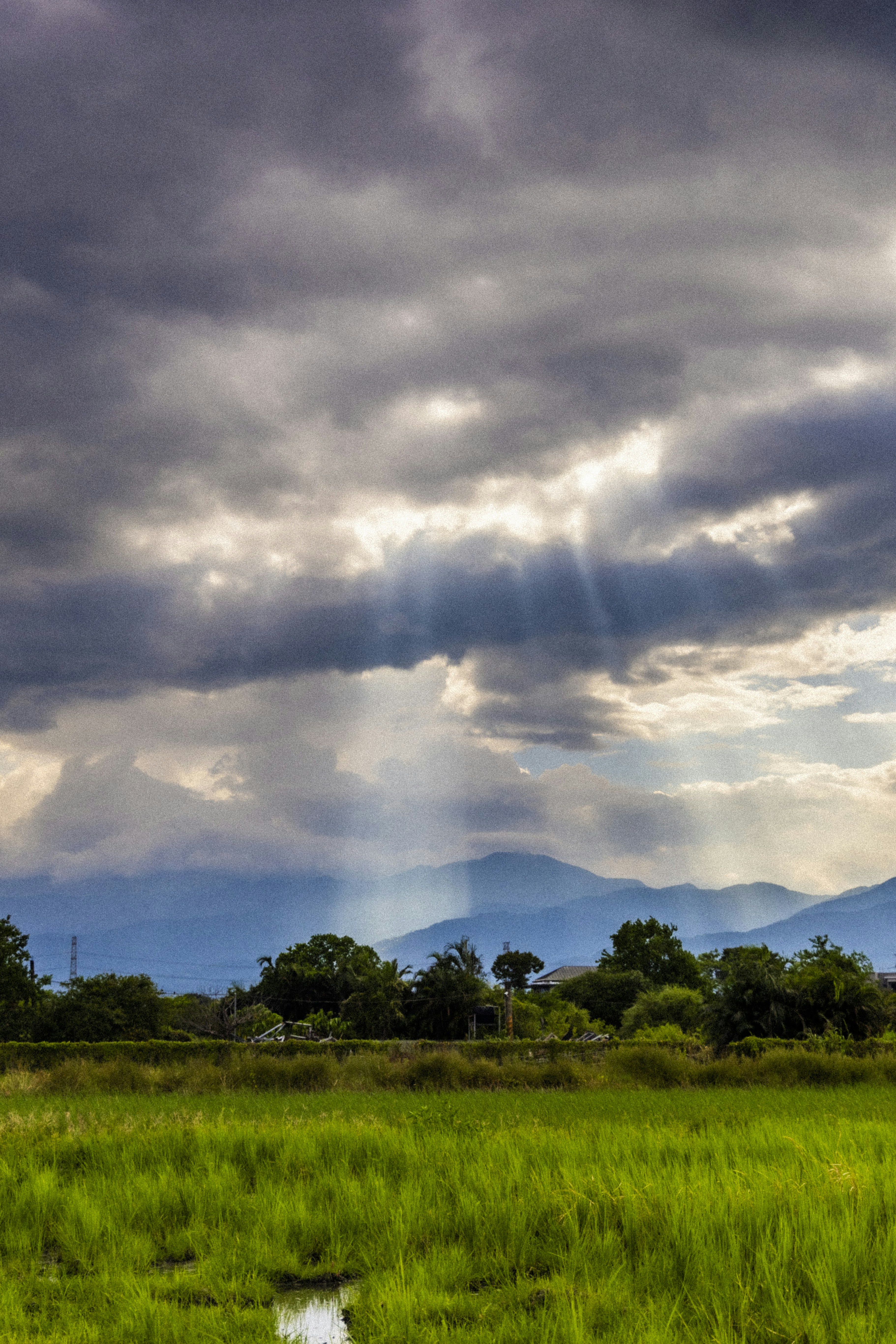 Golden-green fields stretch toward distant hills as dramatic clouds part to reveal sunbeams; a tranquil rural landscape with a hint of a distant settlement under a moody sky.