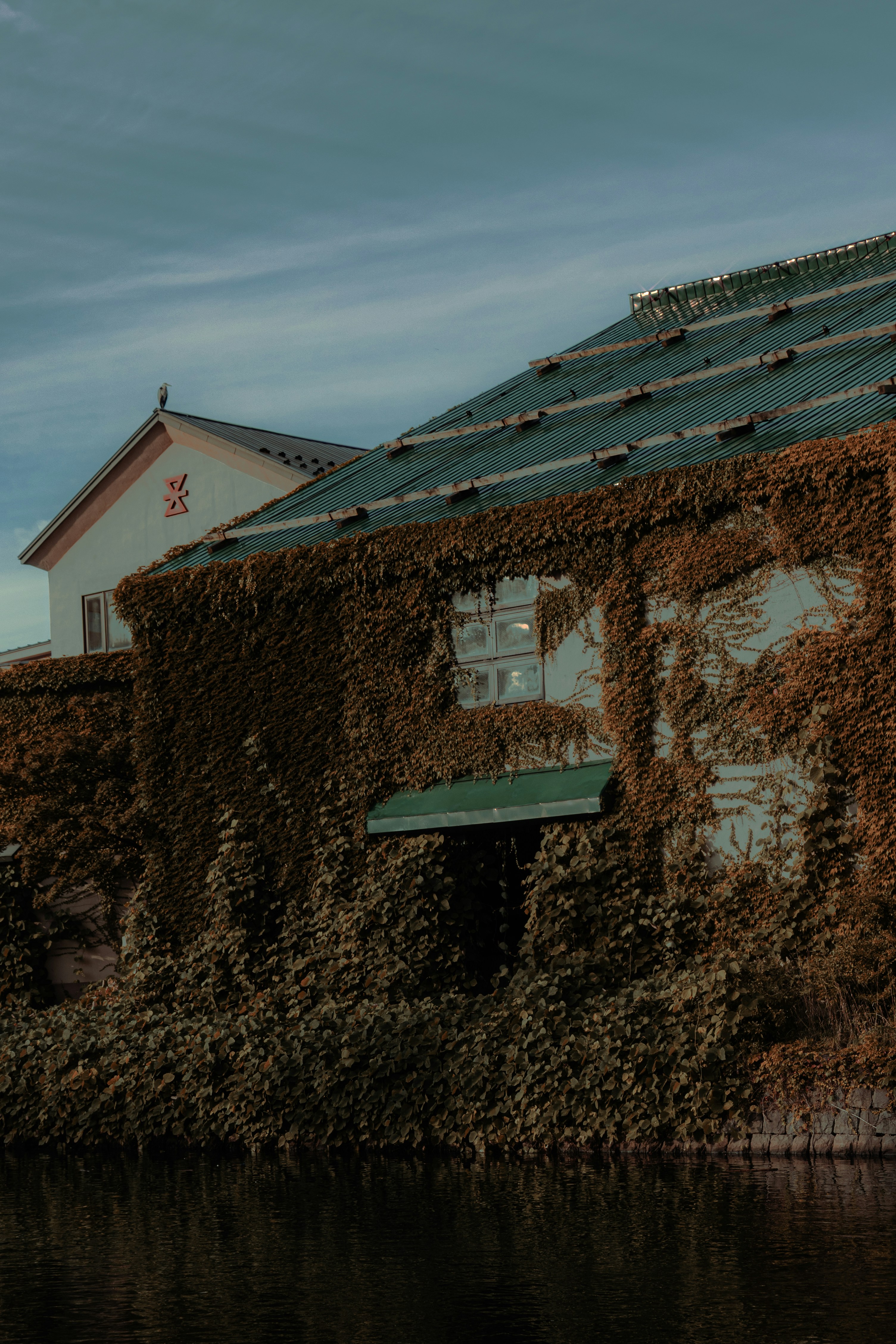 Ivy-clad Warehouse by the Waterline