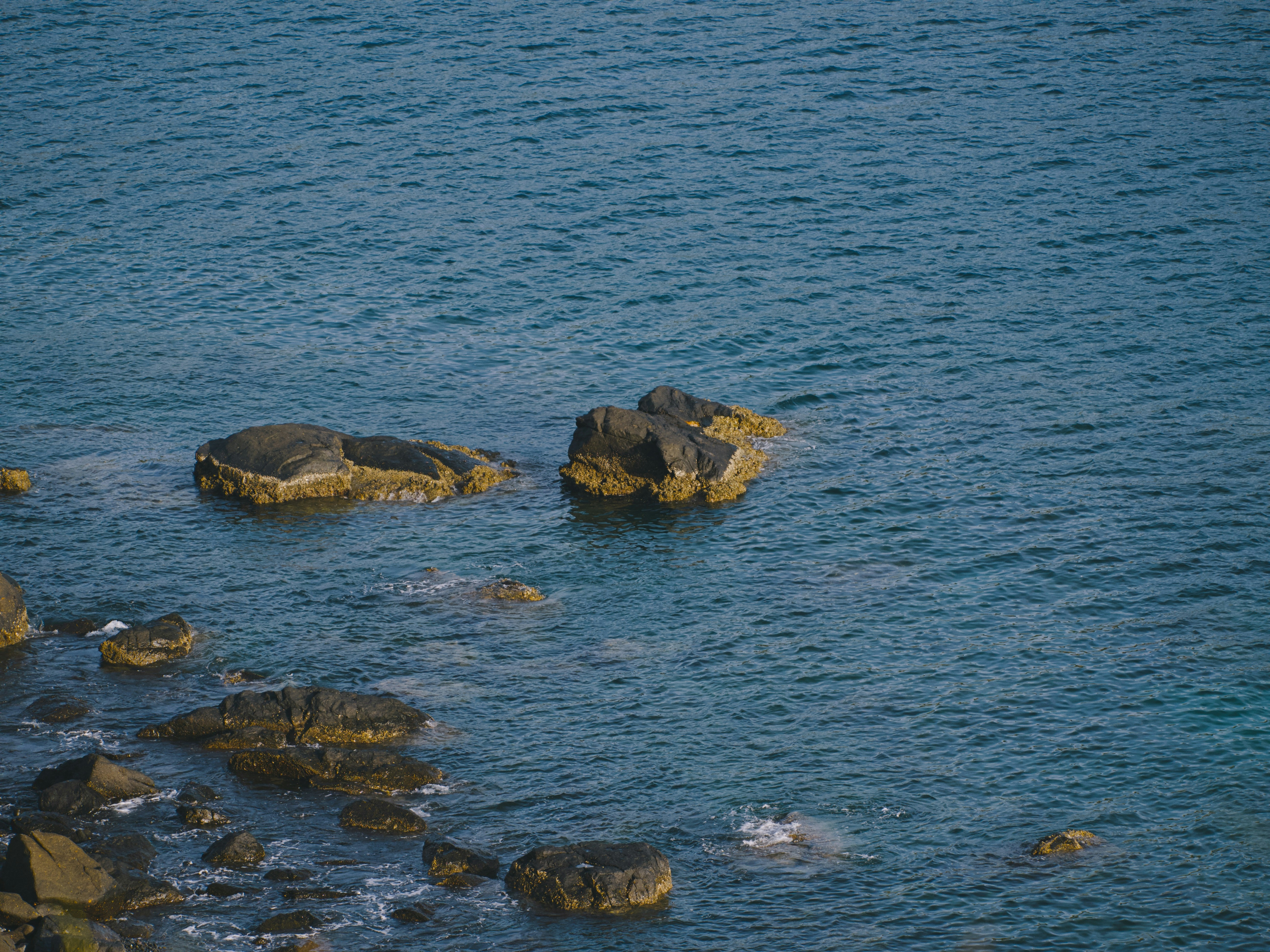 Rock Steps at Sea: A Quiet Tide Among Sturdy Breakers