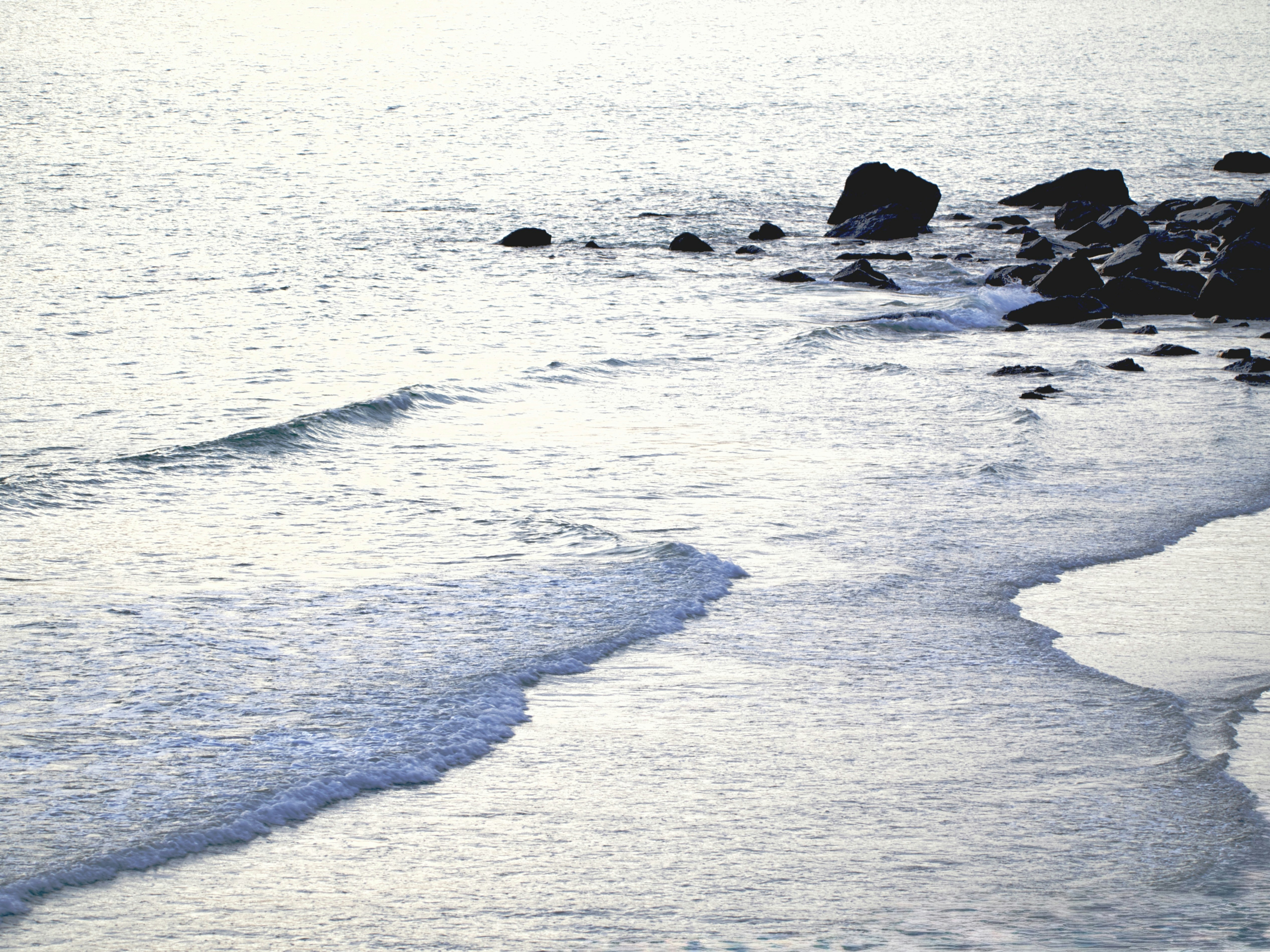 Foamy shoreline tracing the quiet boundary between water and light