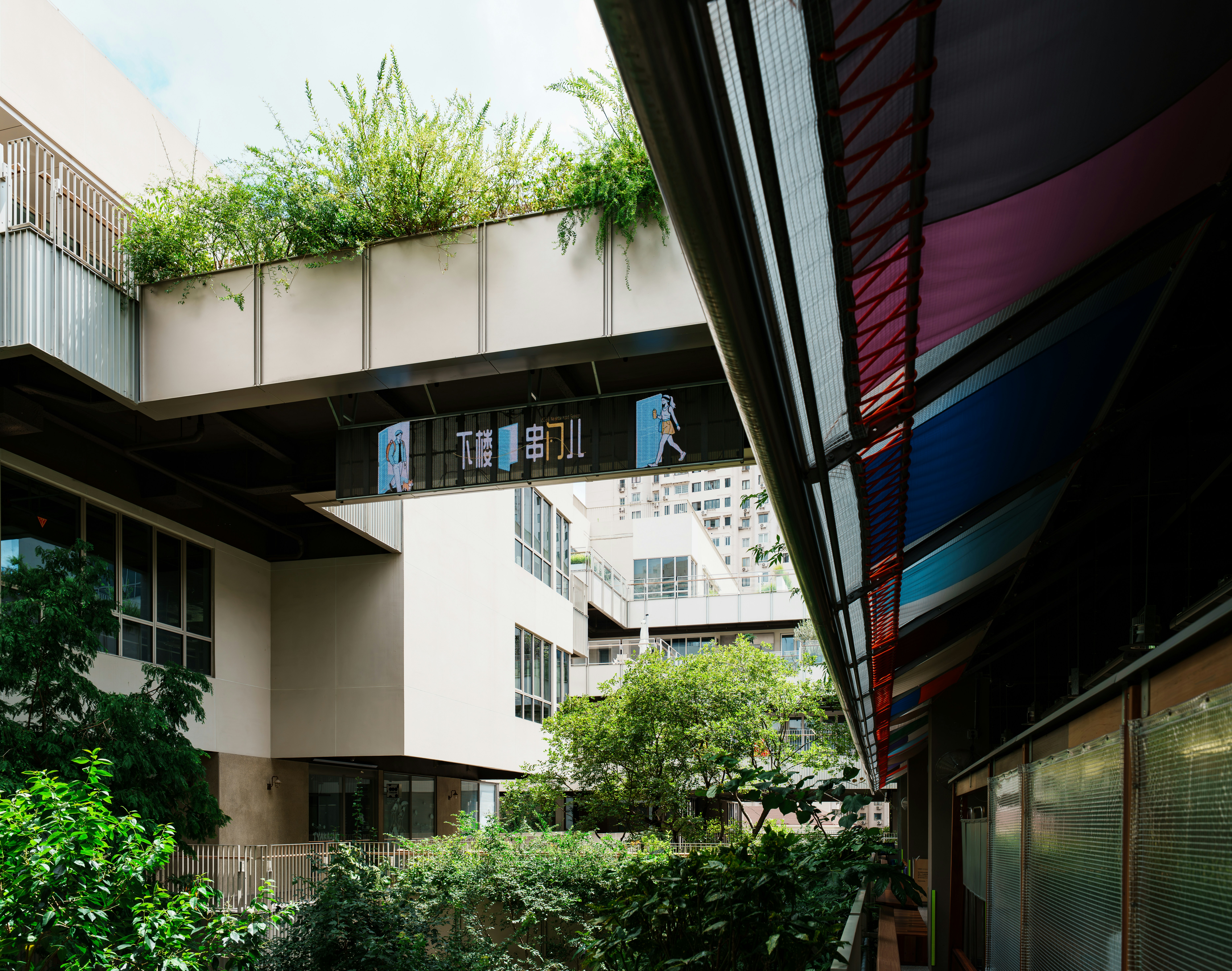 Urban Skywalk Above, Plants and Pathways Beneath