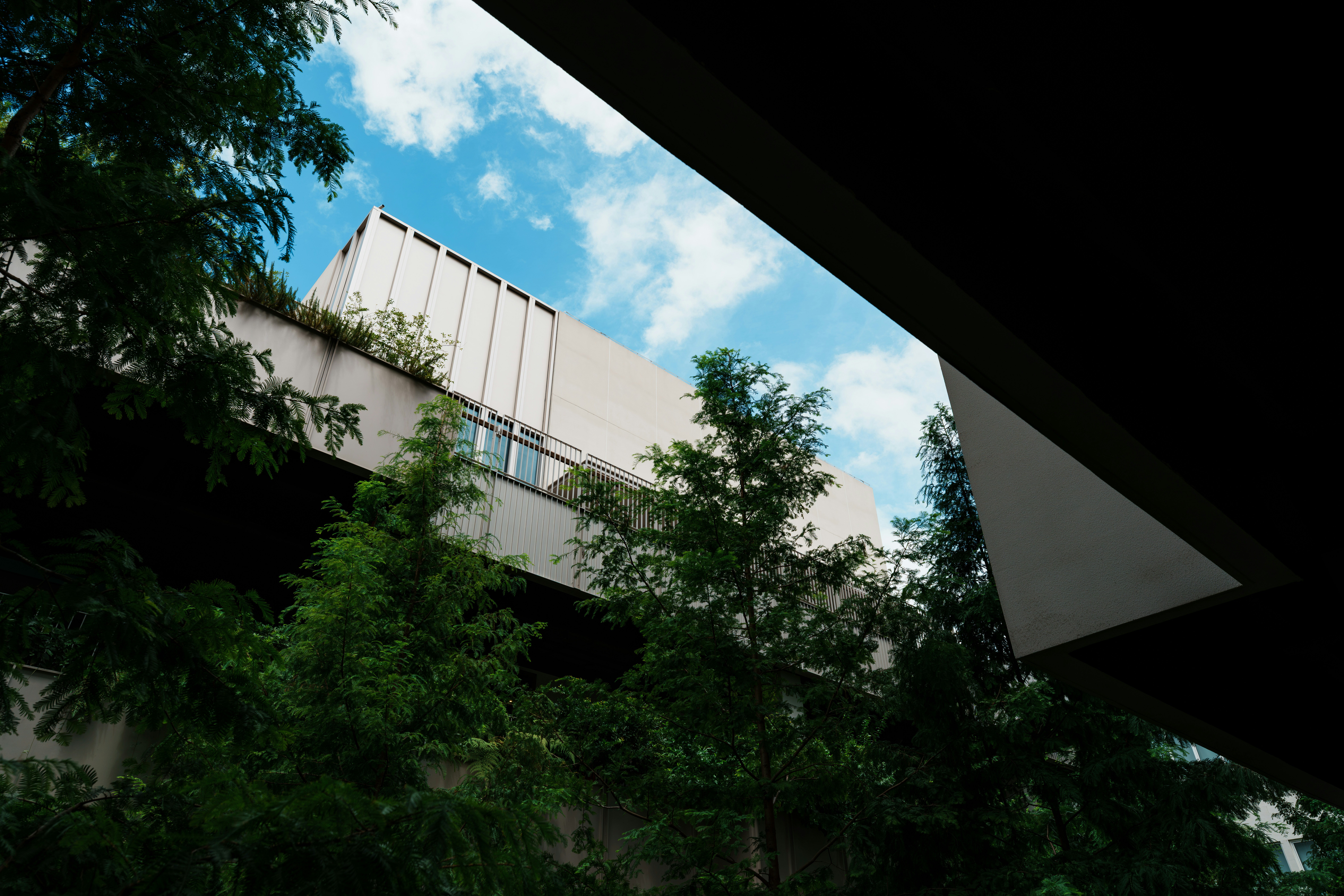 Overhang and Sky: Concrete Geometry Framed by Green Canopy