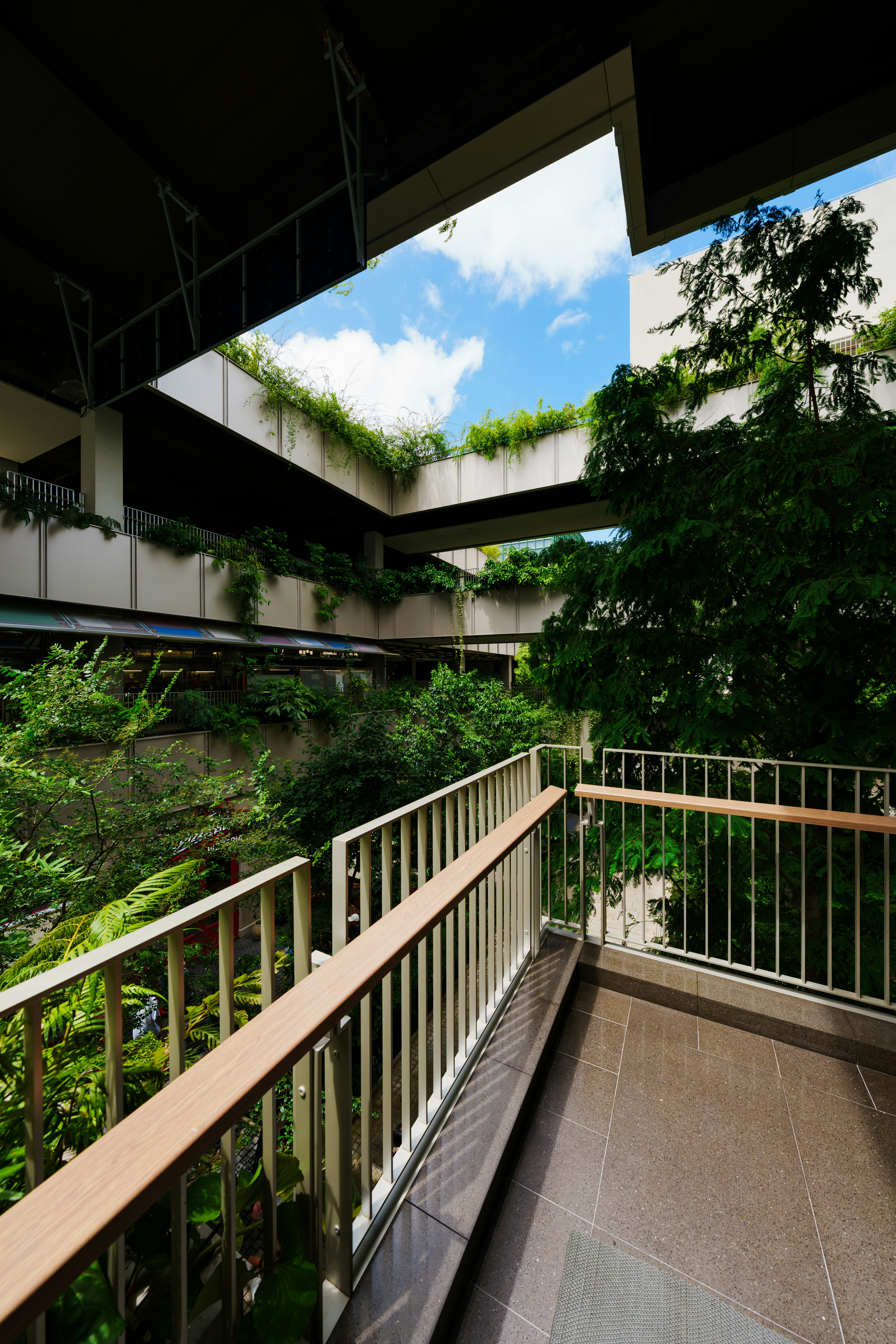 Overgrown Atrium Balcony: Urban Greenery Framing Concrete Levels