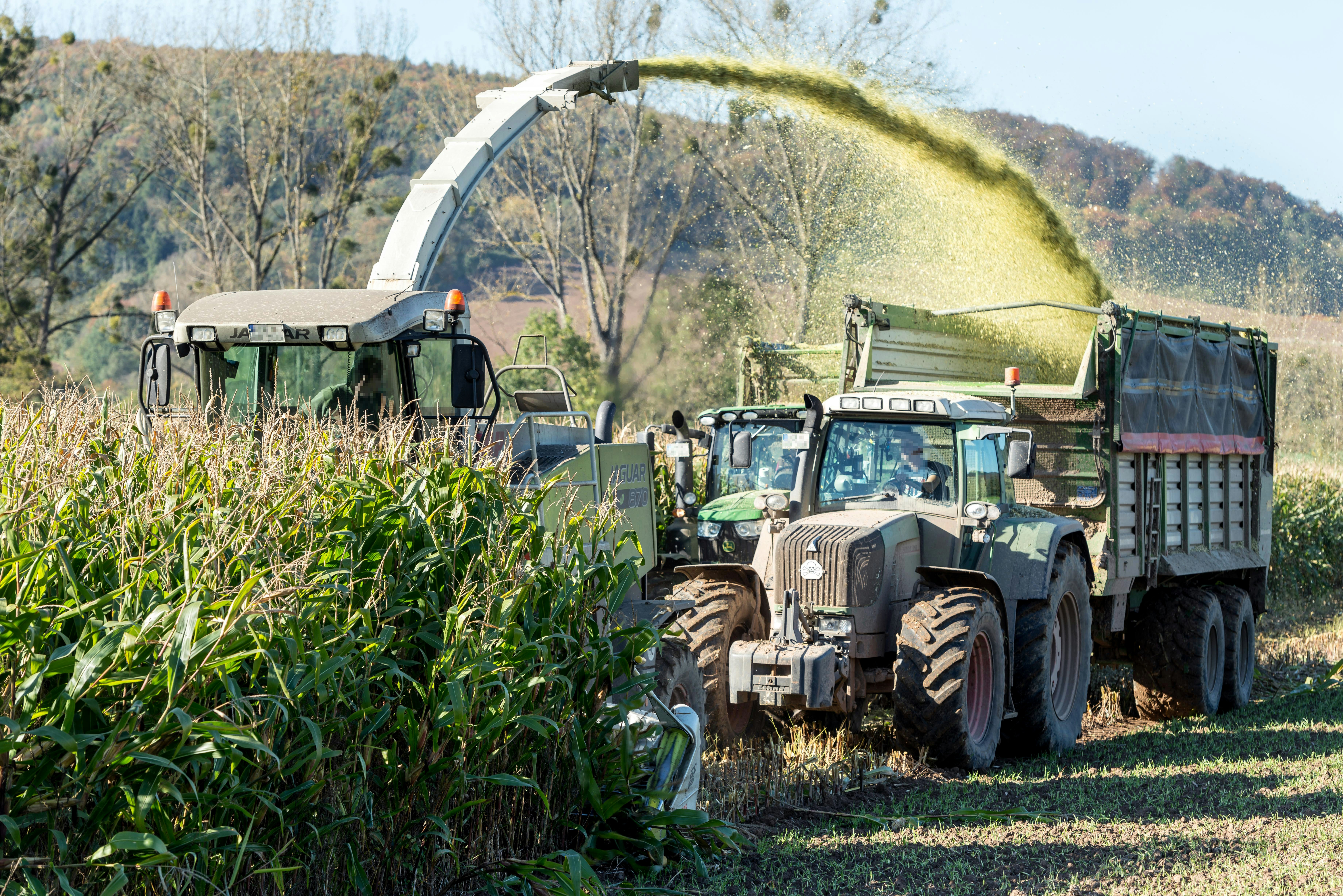 Harvest Arc: Tractors and Corn in Motion