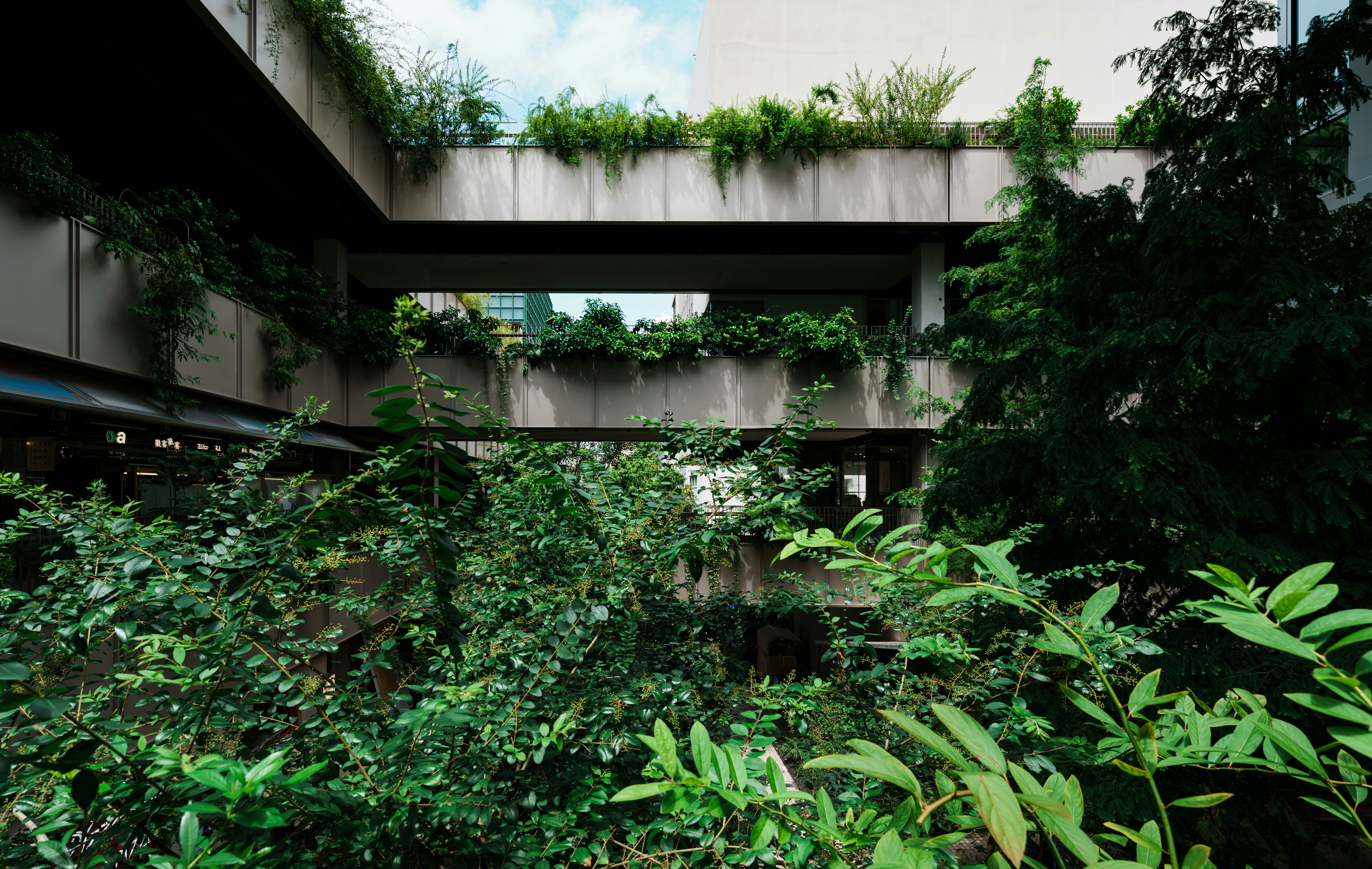 Overgrown Atrium Between Concrete Arches
