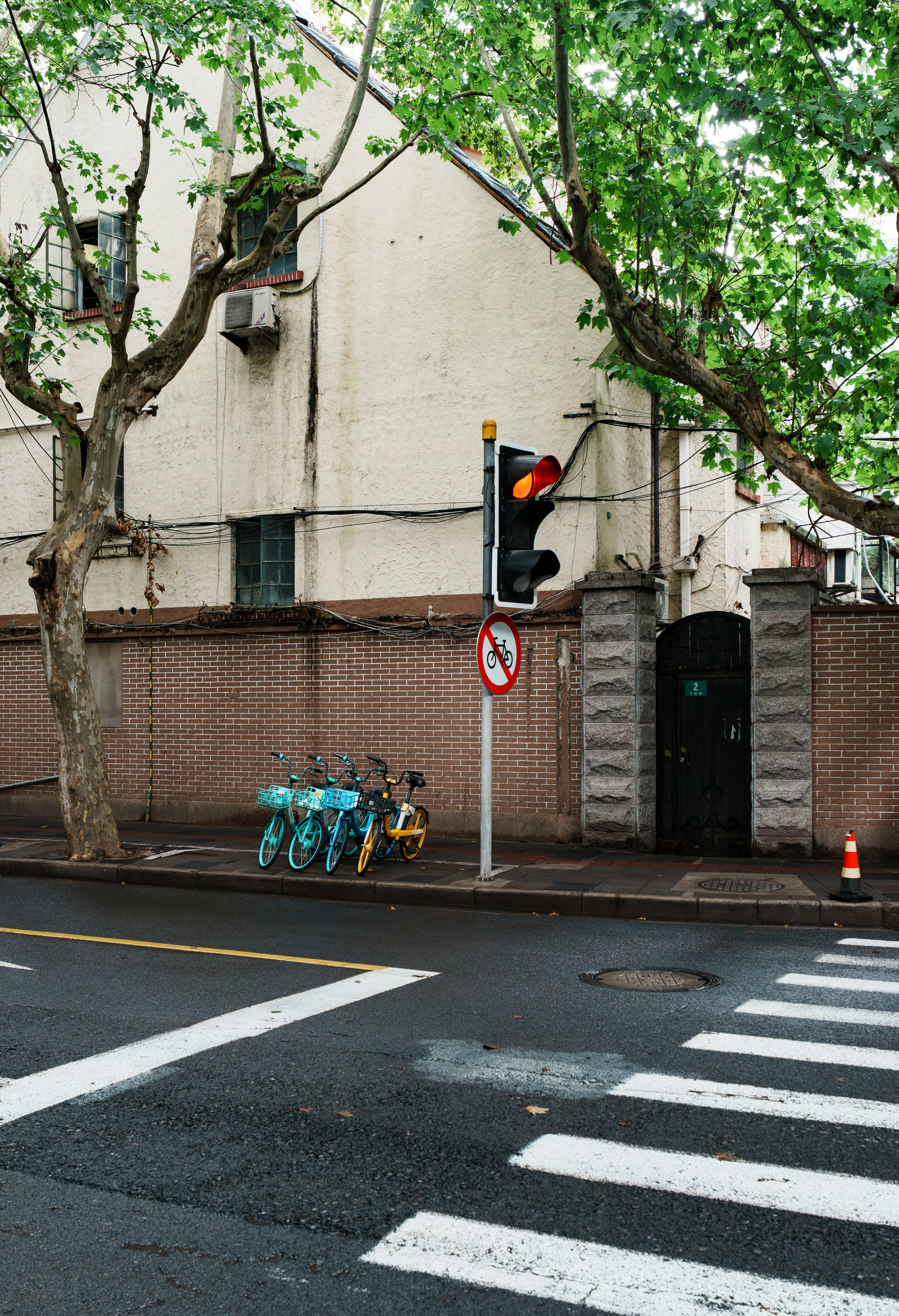 Crosswalk Quietude: Bikes and Signal Under the Shaded Canopy