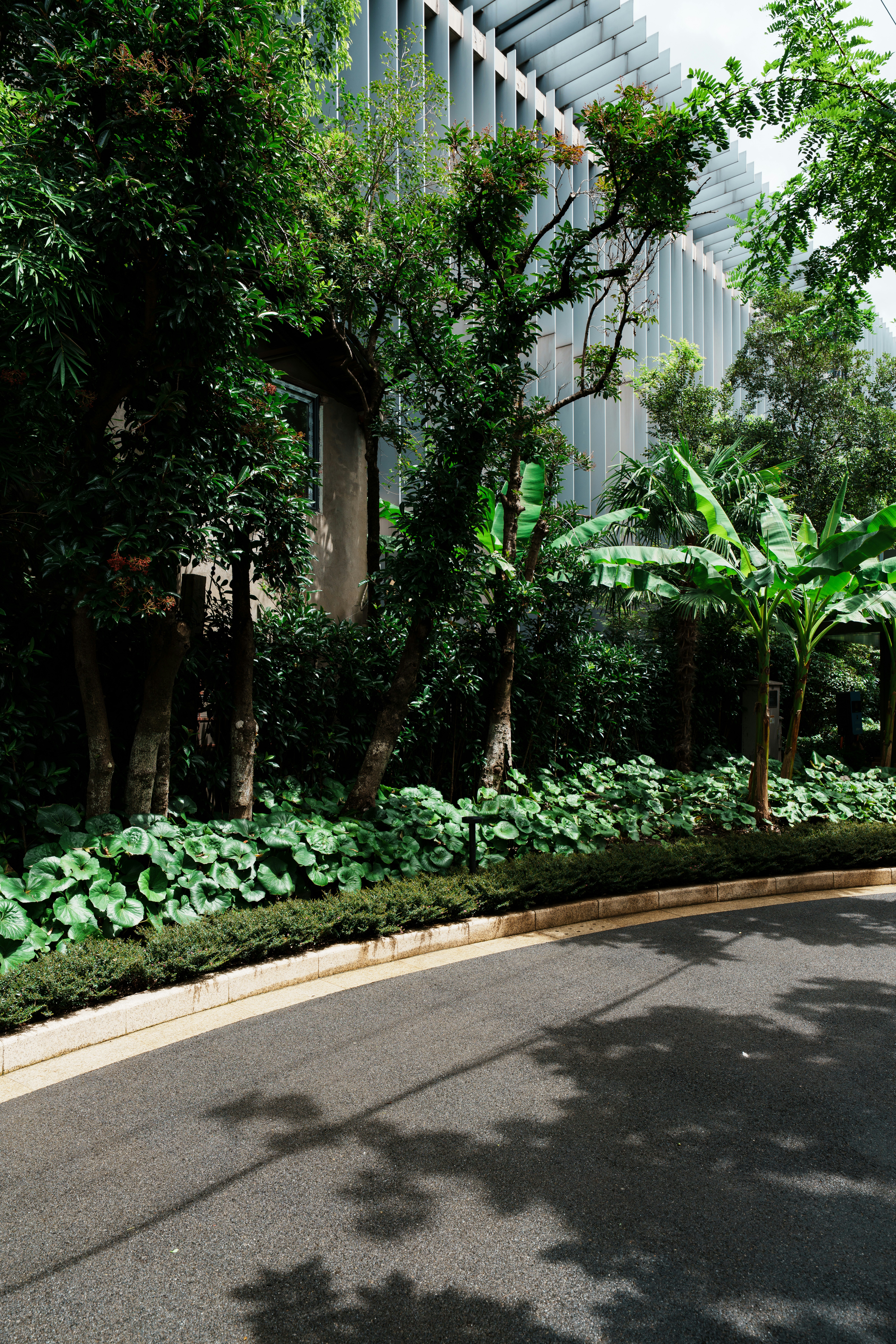 Lush Green Corridor Along Modern Facade
