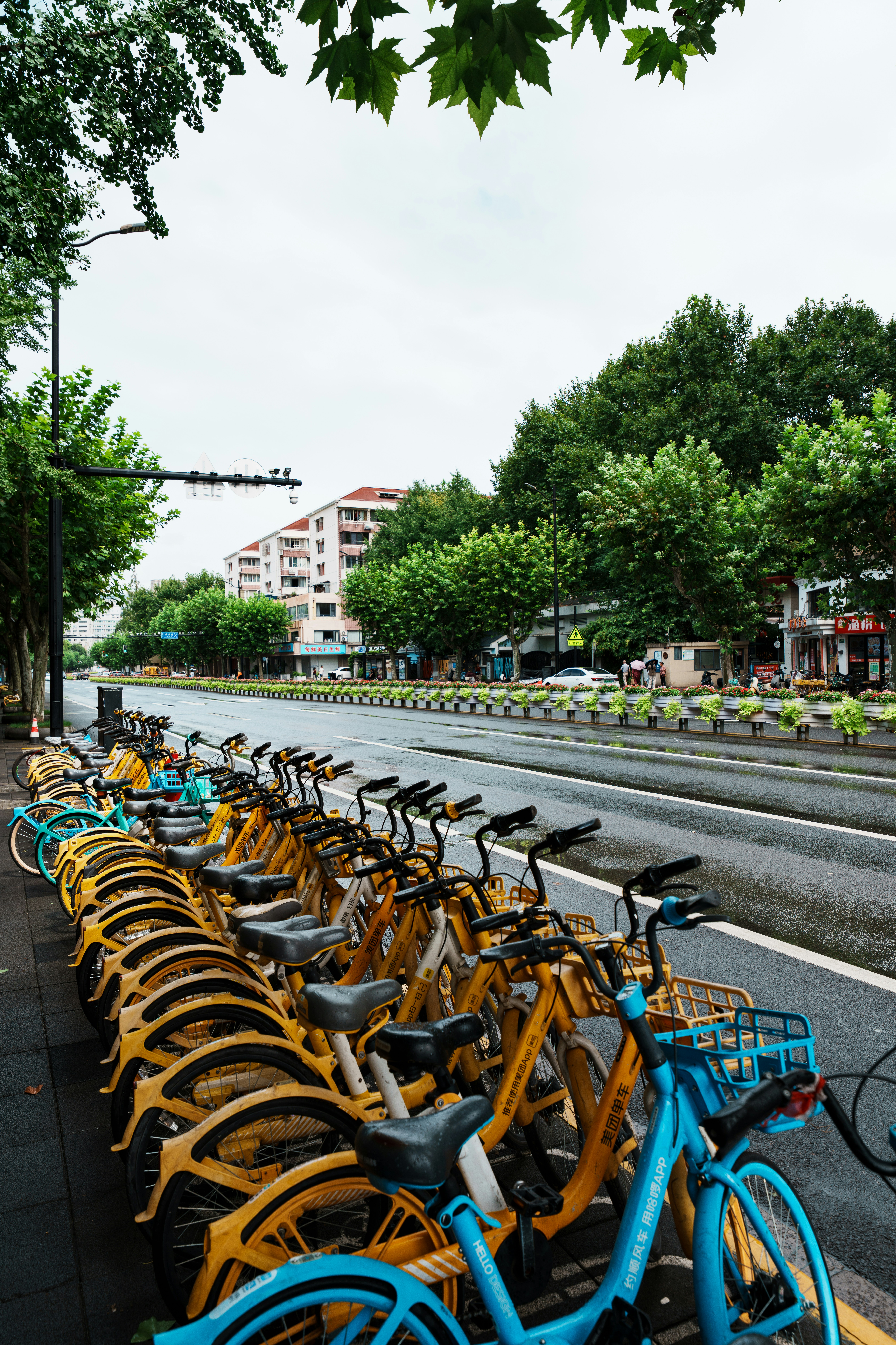 Rows of Bright Orange and Blue Bicycles Create a Street Symphony