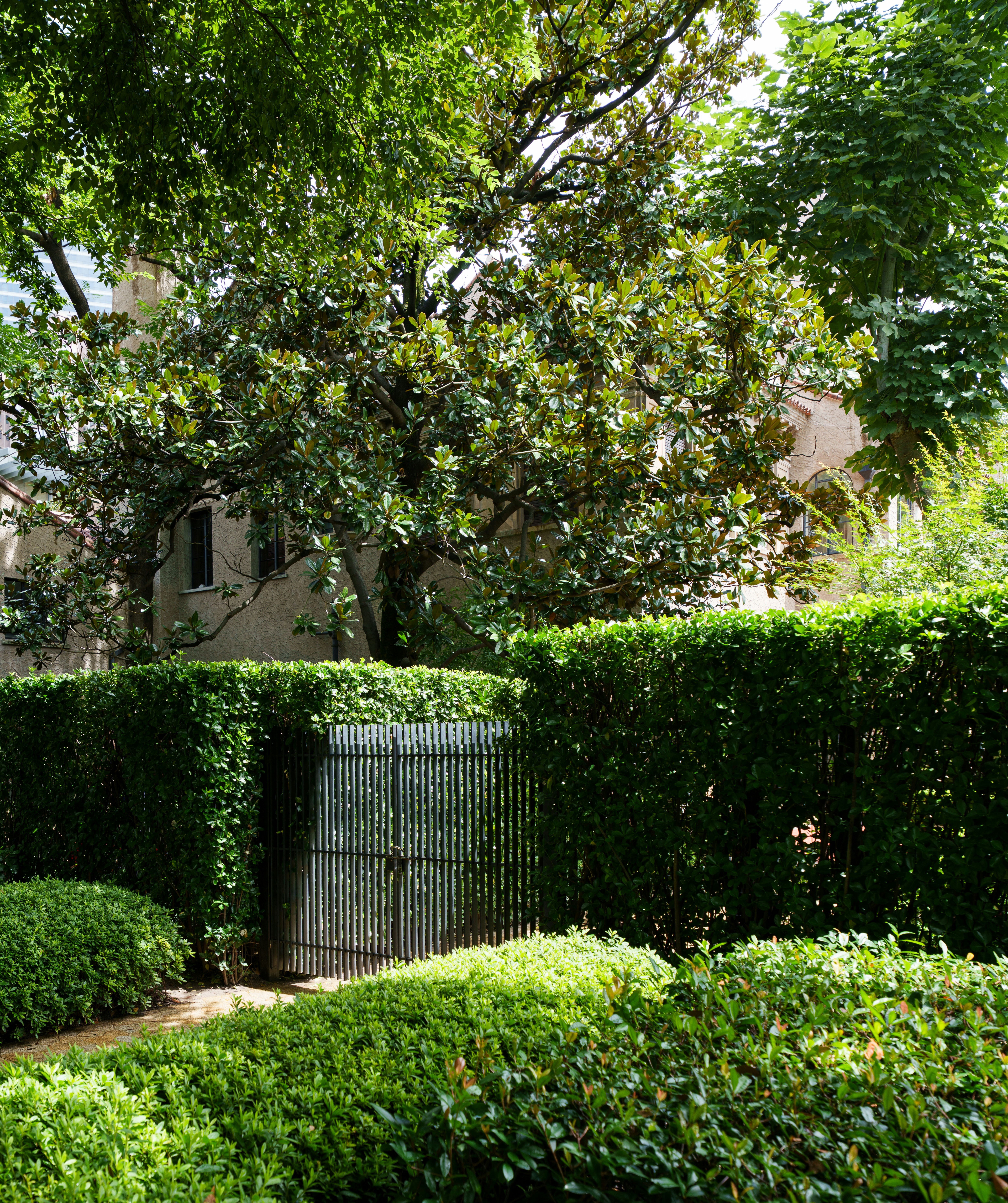 Hidden gate beneath the ivy: a manicured courtyard reveals a quiet entry
