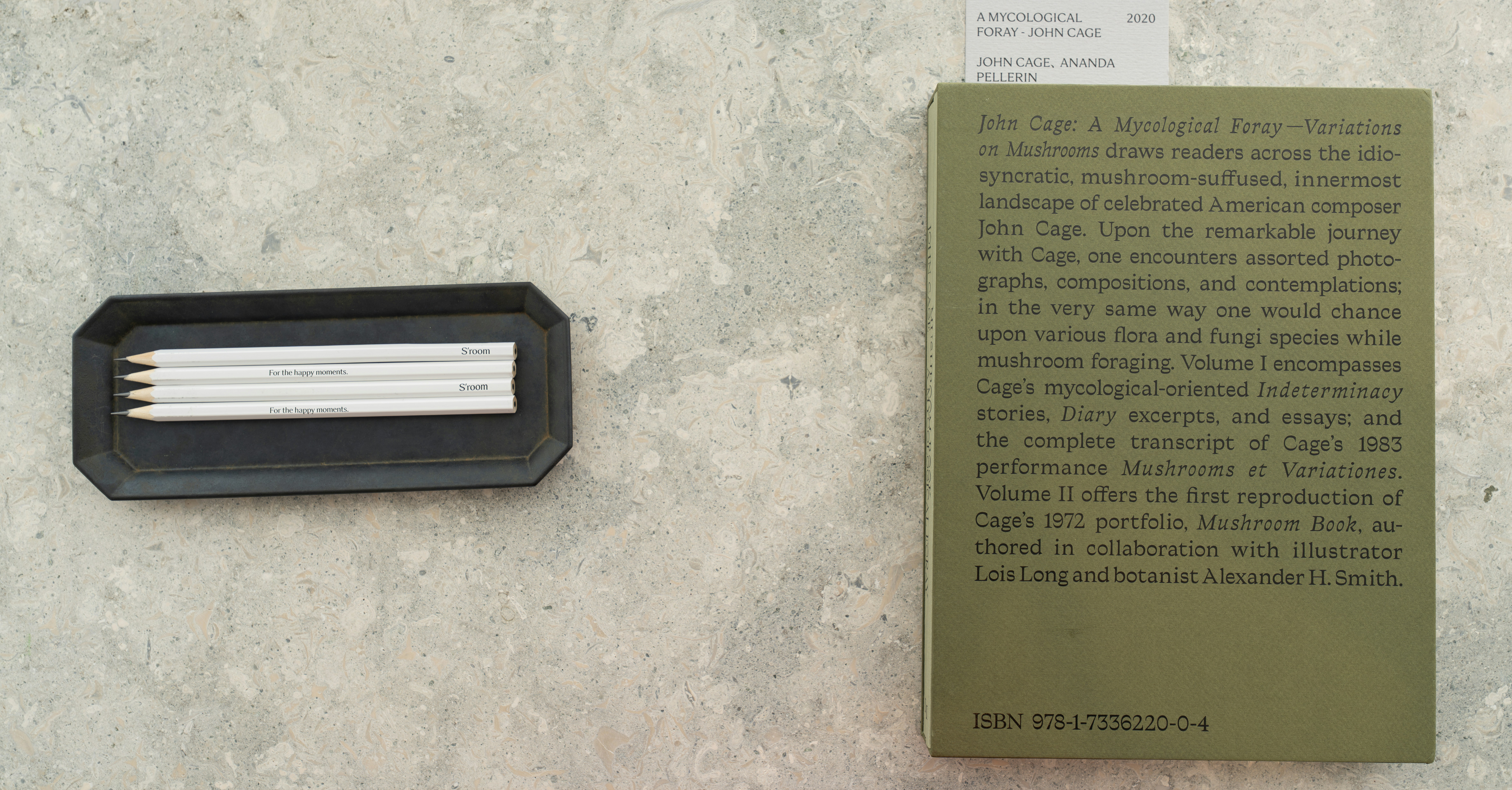Concrete Wall Memorial: A Brass Plaque and a Modern Light Fixture