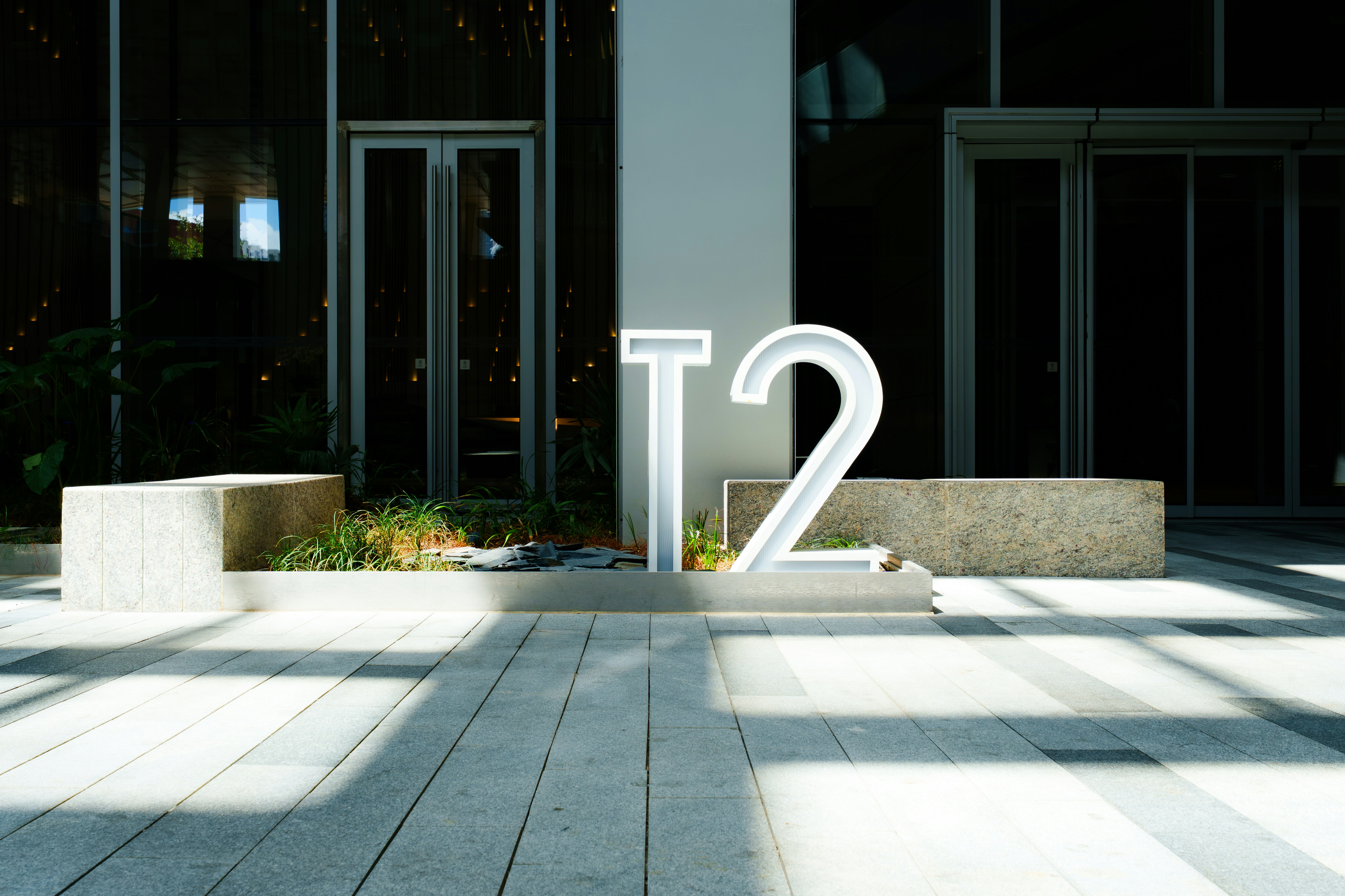 Neon Signage in Concrete Quiet: The T2 Sculpture in Daylight