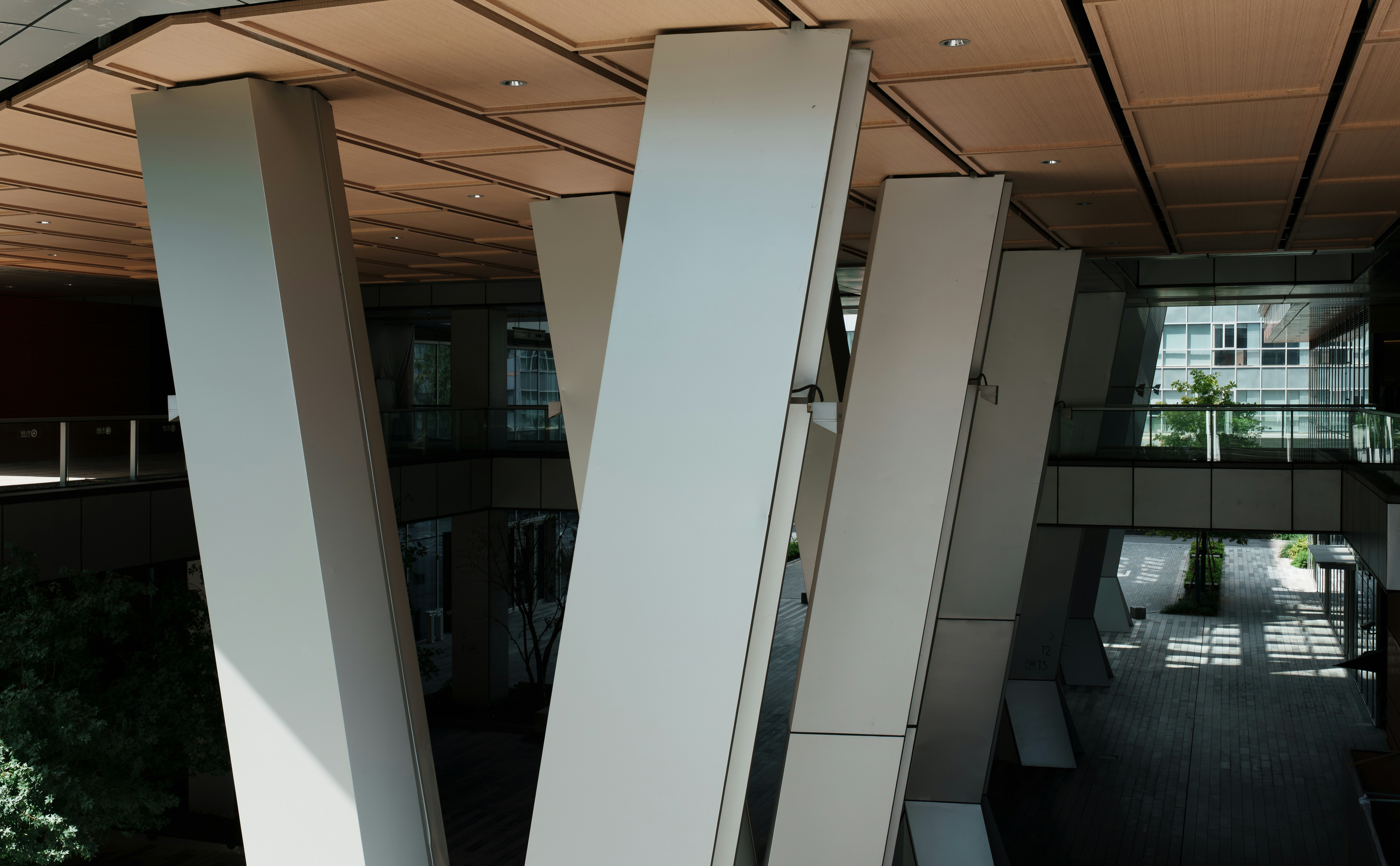 Angular Columns in Echoes of Light
