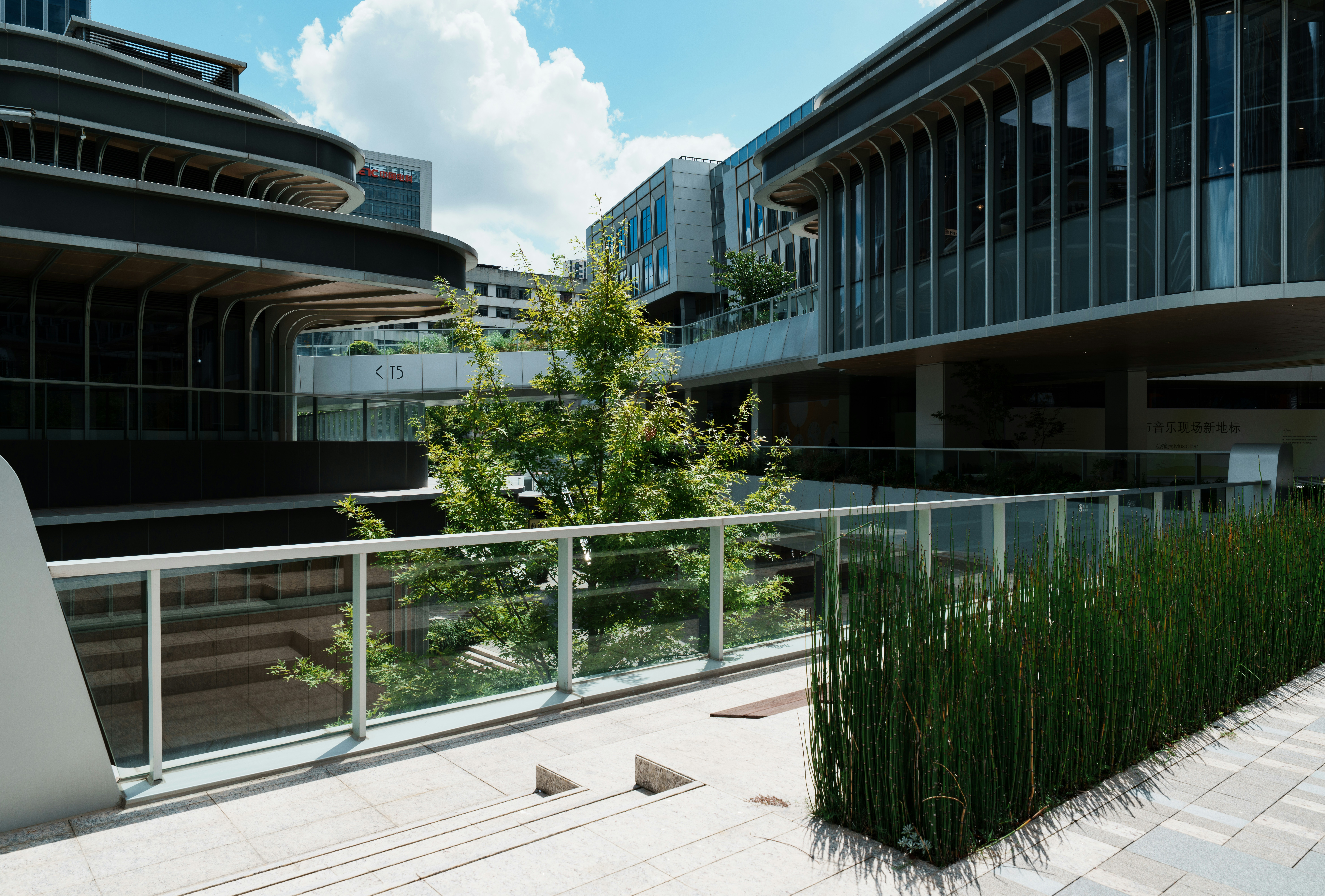 Modern Courtyard Vista with Glass Railings and Greenery
