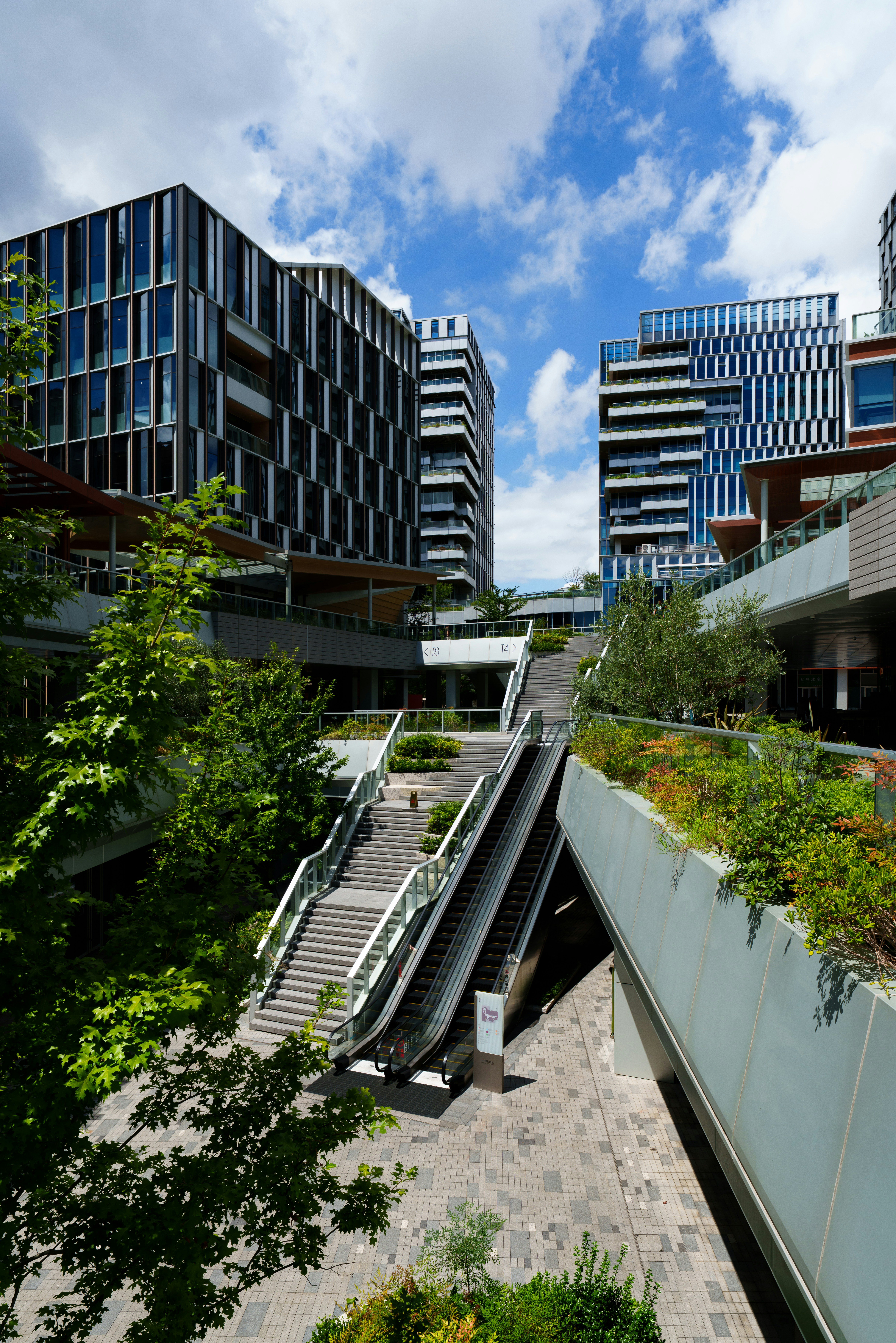 Urban Cascade: Steps, Escalators, and Skyward Glass