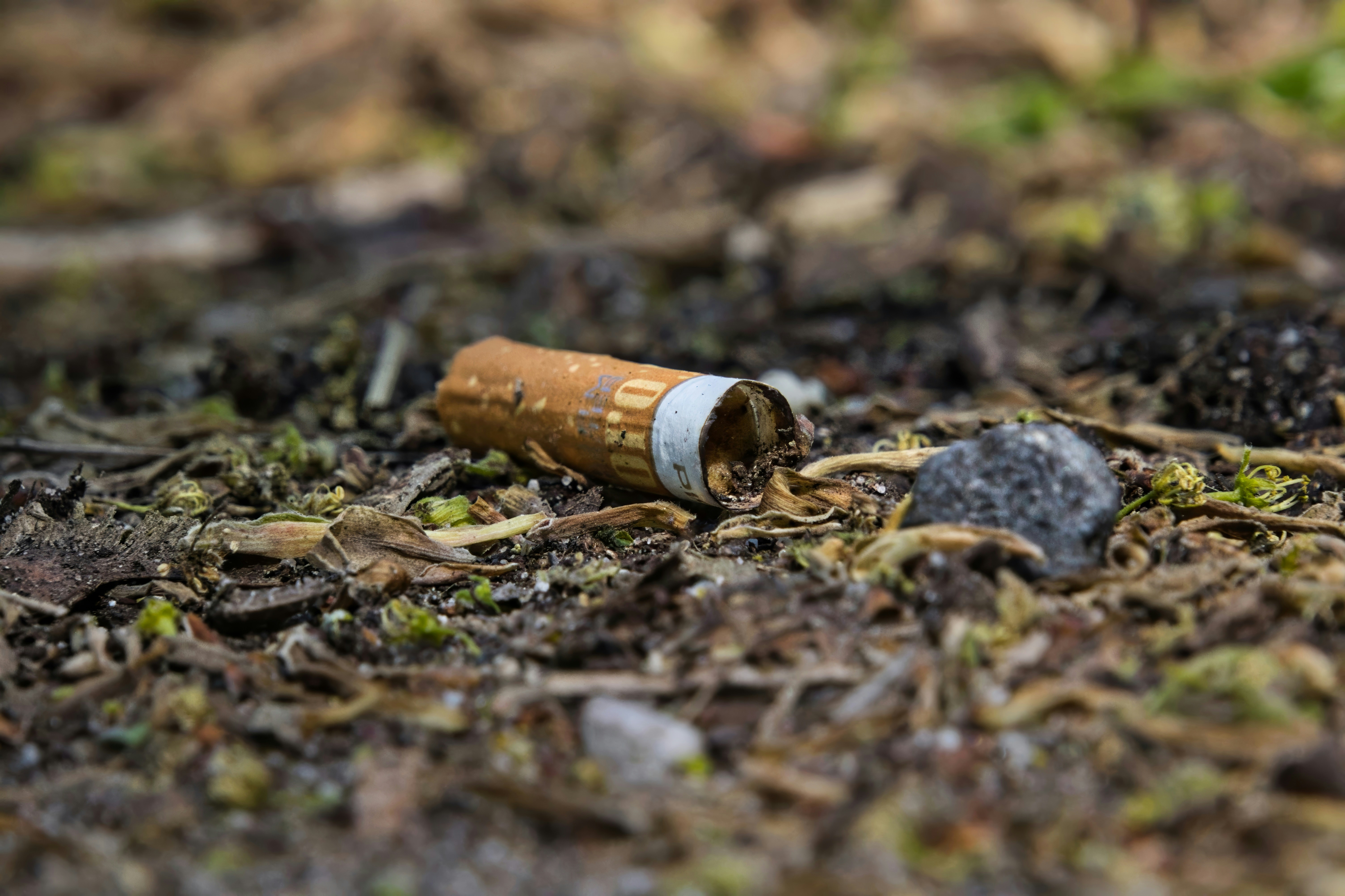 A weathered cigarette butt lies on damp ground among leaves and small stones in a natural forest floor scene.