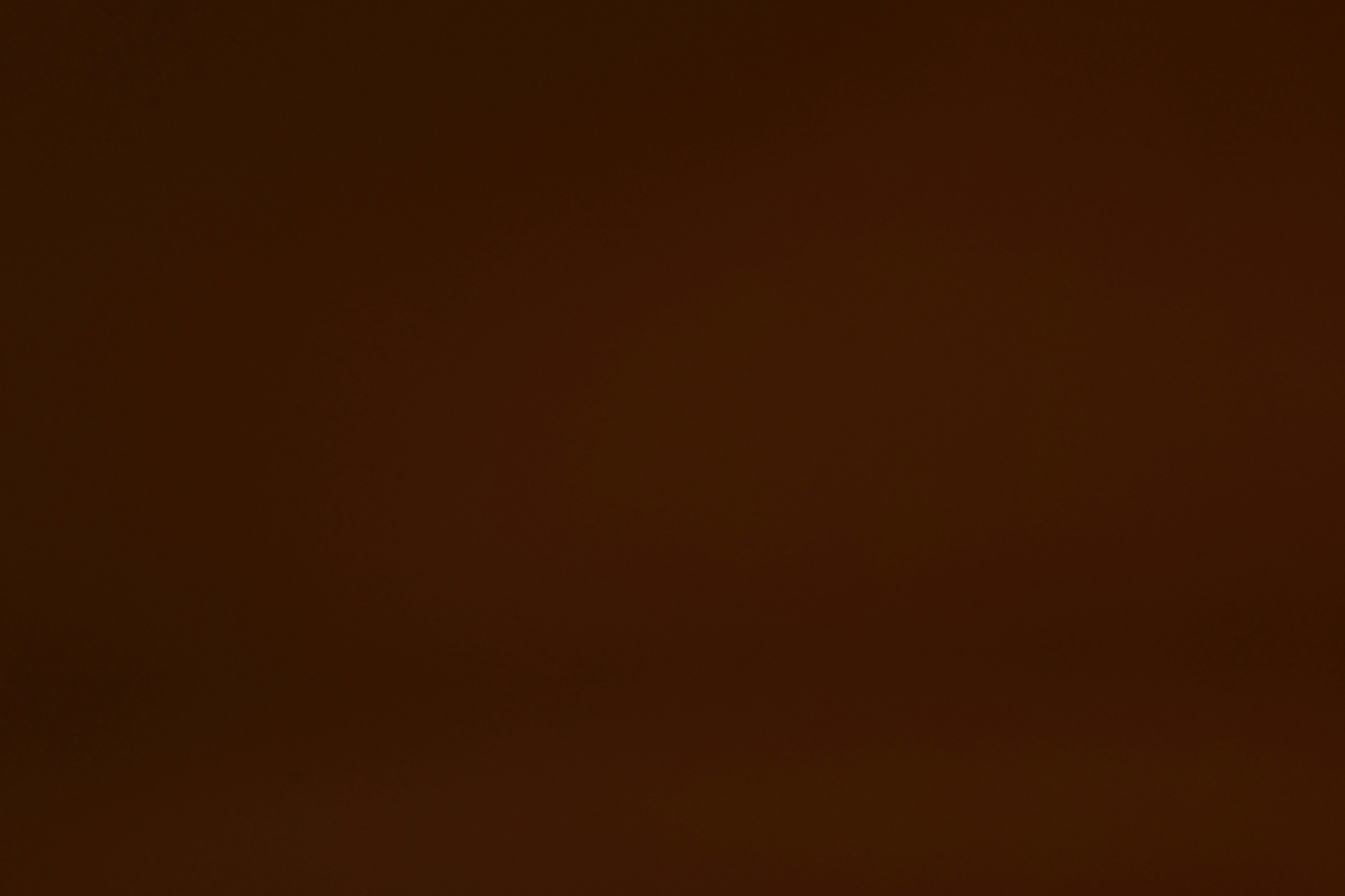 Midnight Chestnut: A Quiet Swath of Color and Texture