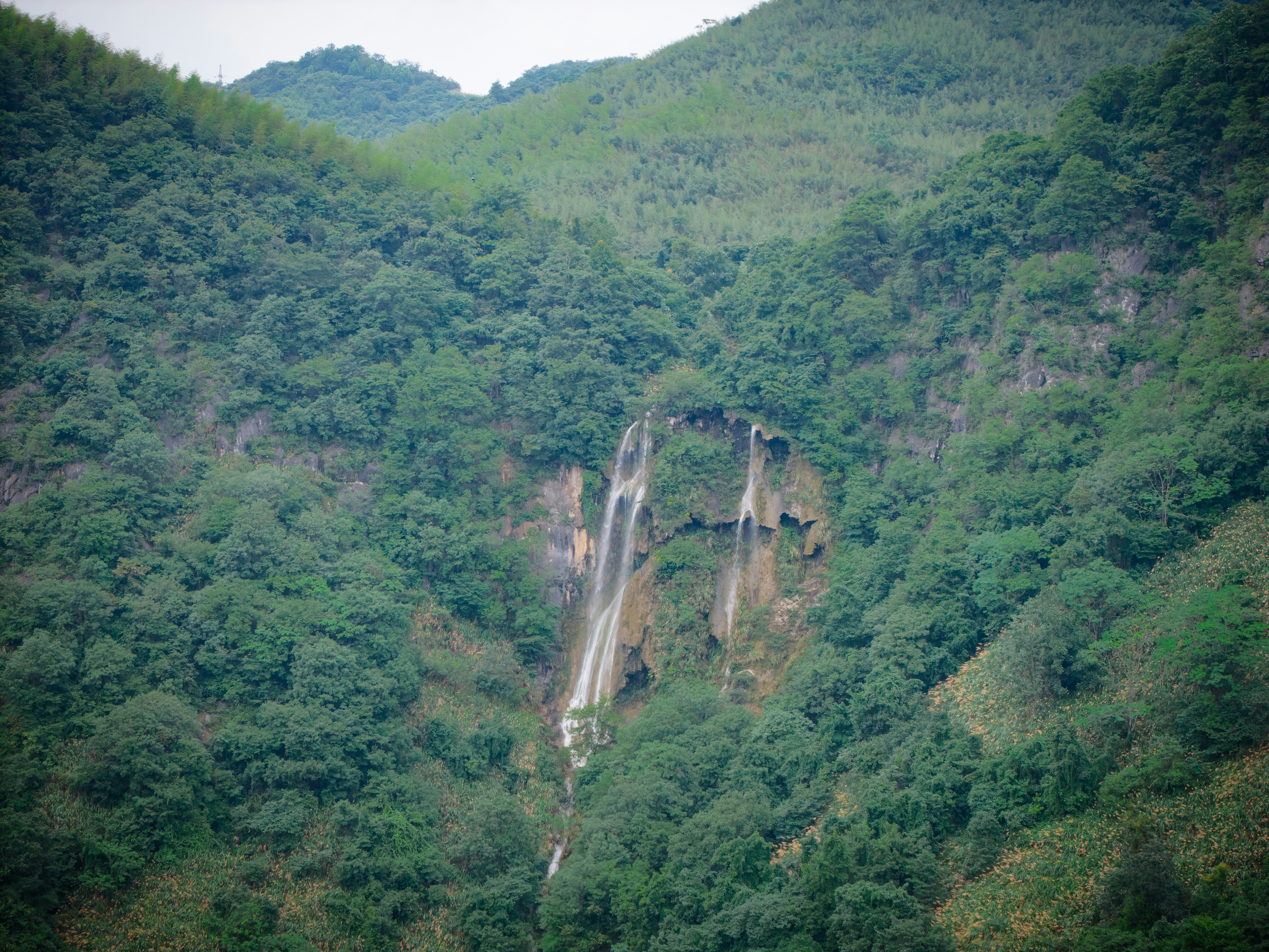 Hidden Cascade Carved in Green: A Forested Veil Over a Narrow Waterfall