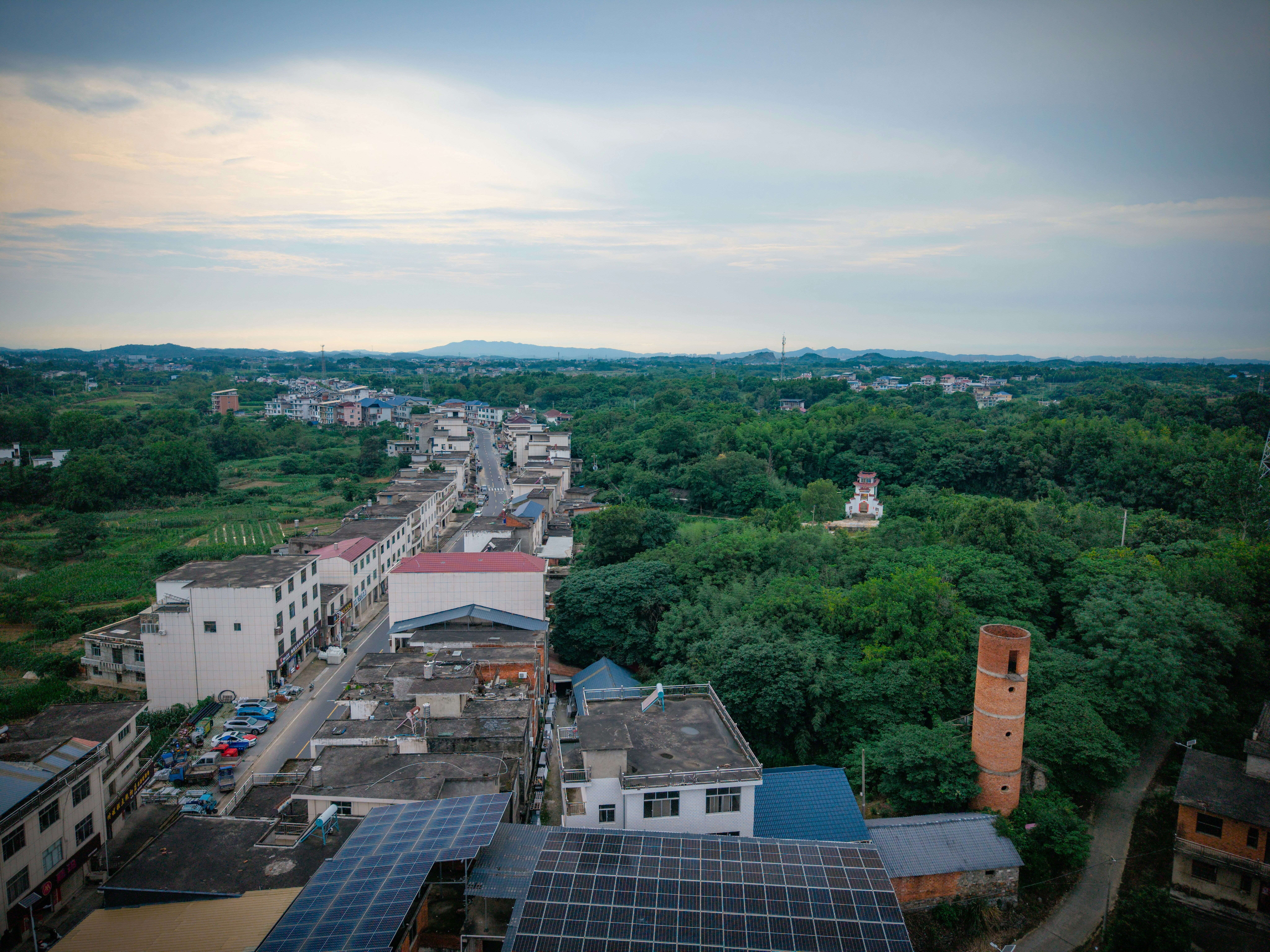 Top-Down Quiet: A City Edge Meets Verdant Canopy