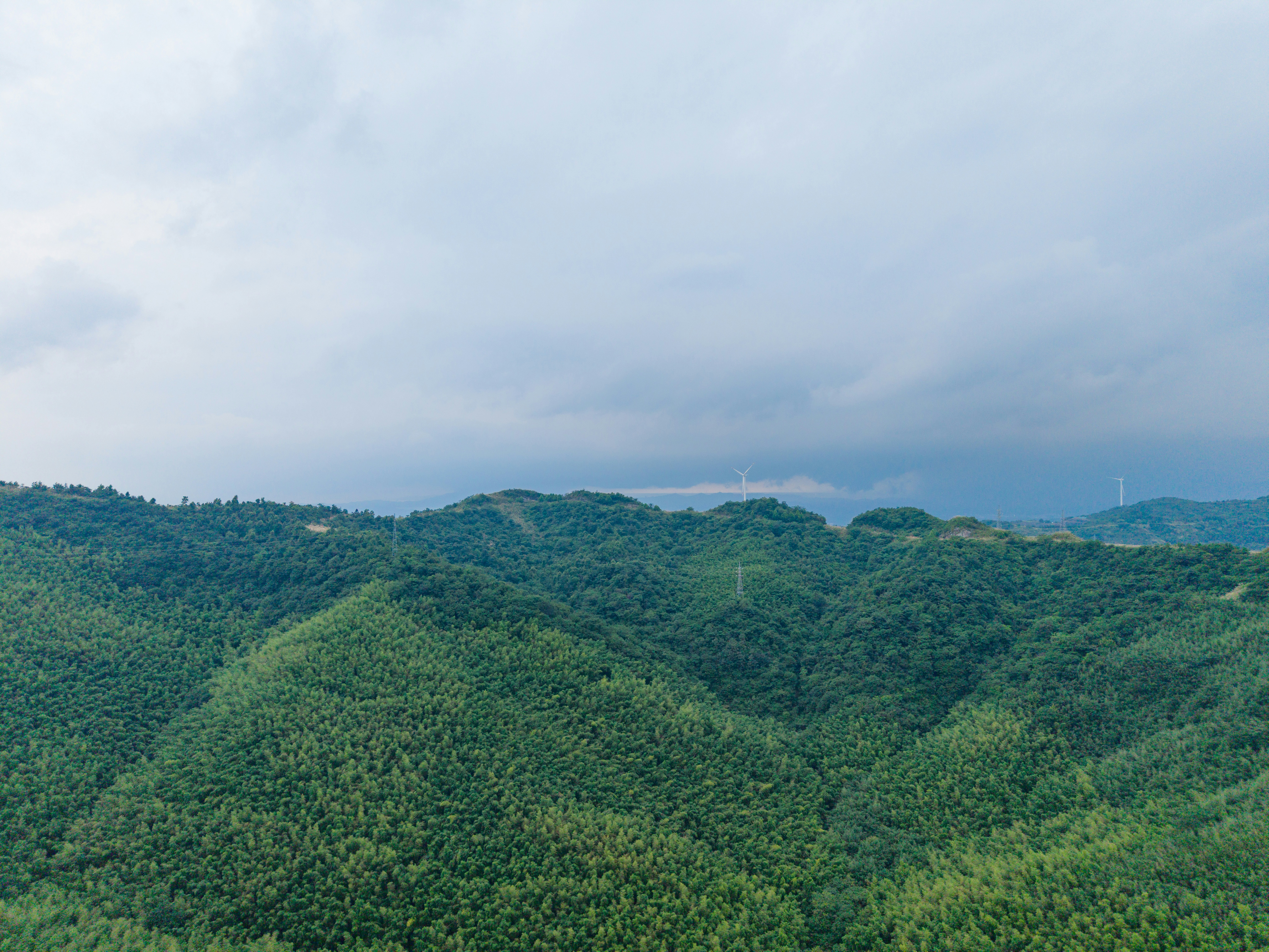 Emerald Hills Under a Tempest Sky
