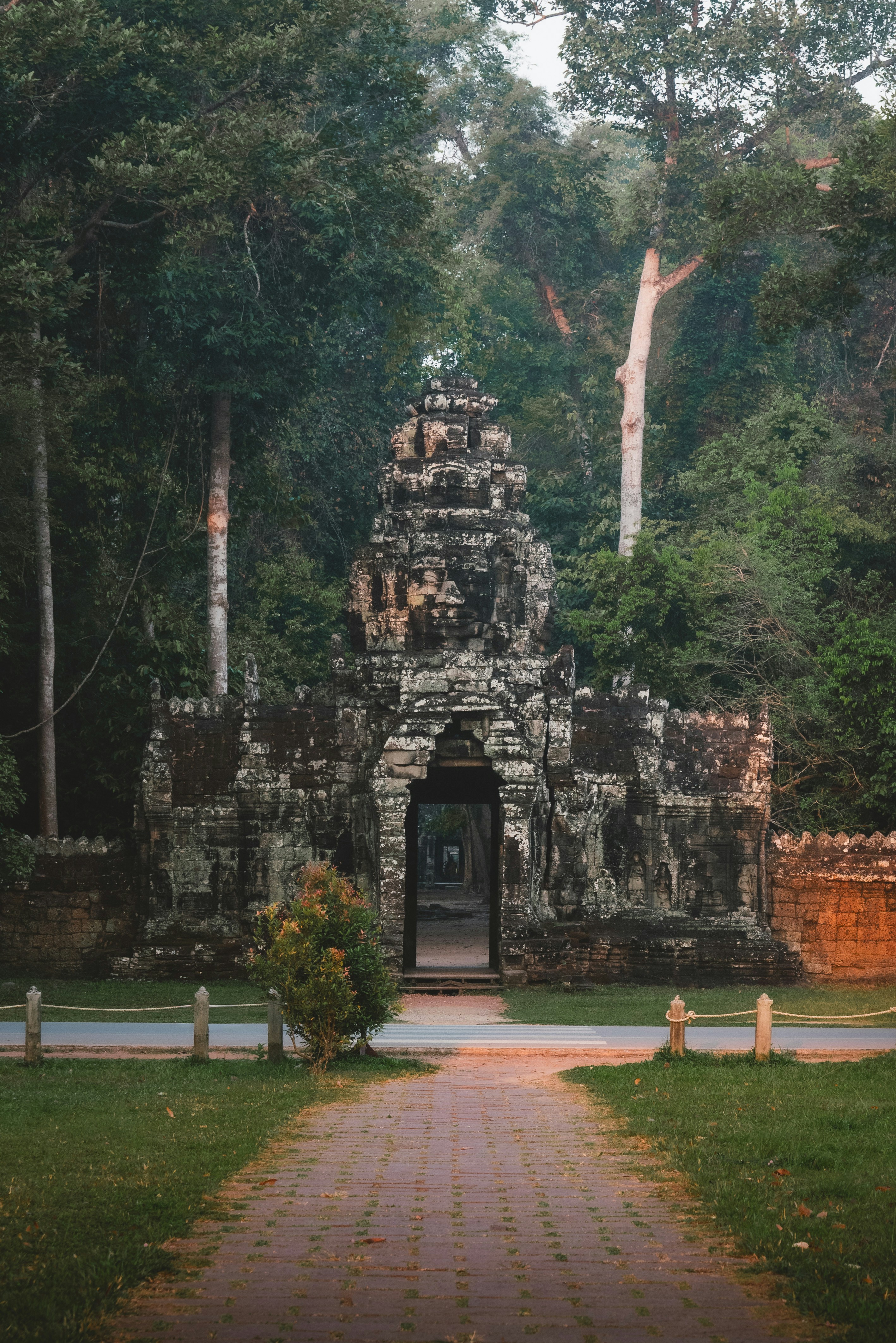Ancient Gateway Framed by Forest Giants