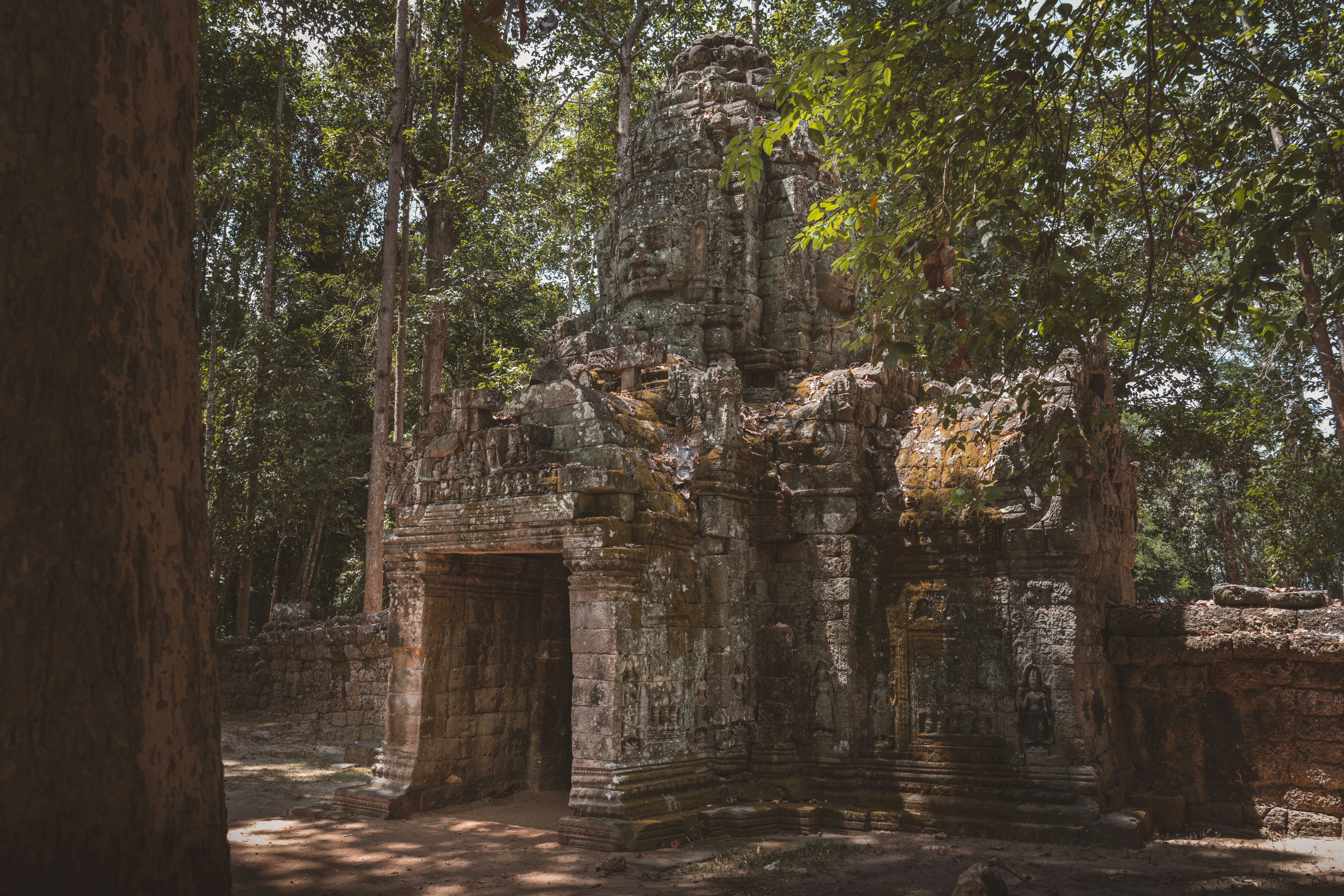 Sunlit Gateways of the Forest Temple