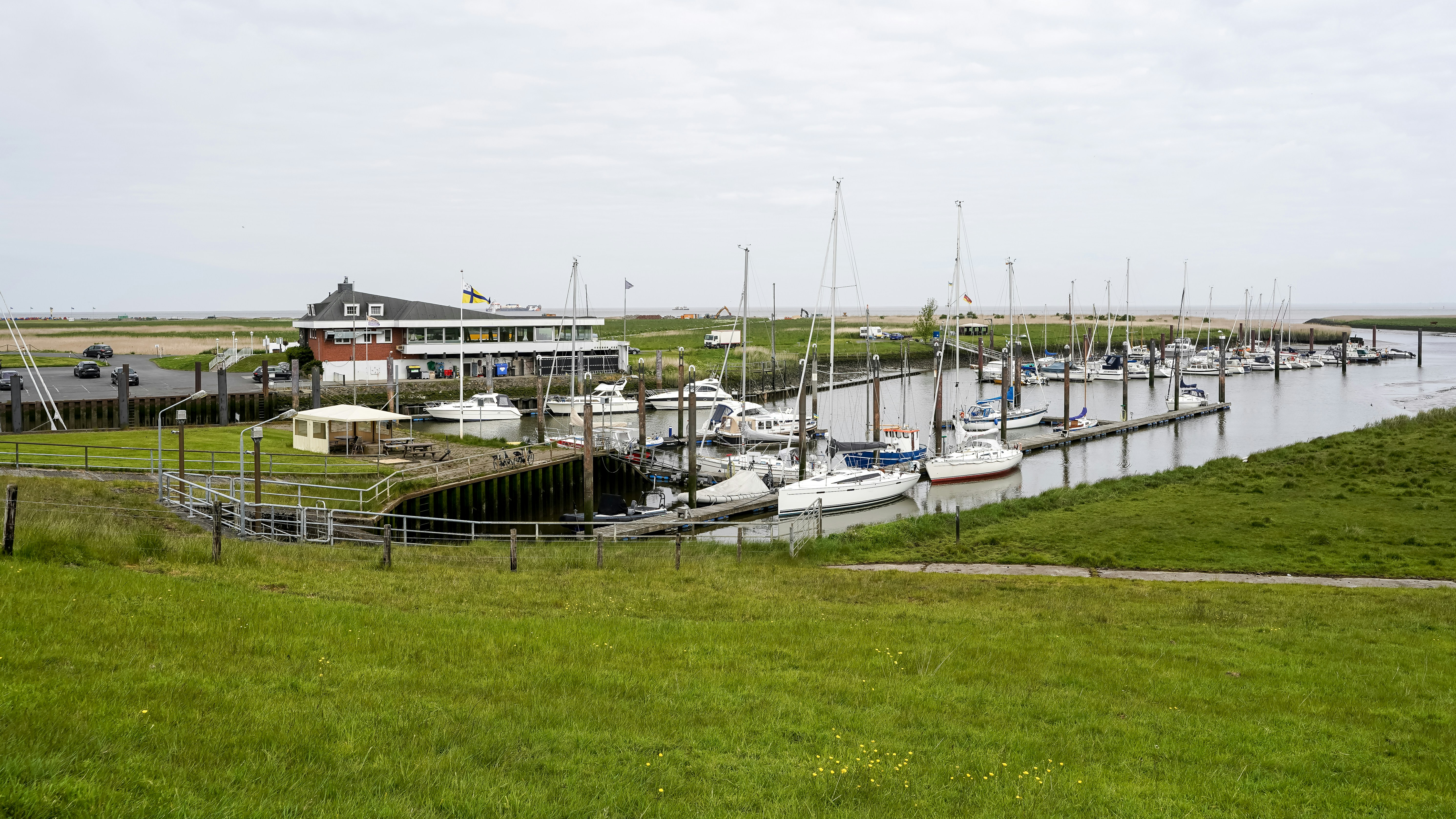 Harbor Crest: Boats Resting in a Quiet Low-Mawn Tide