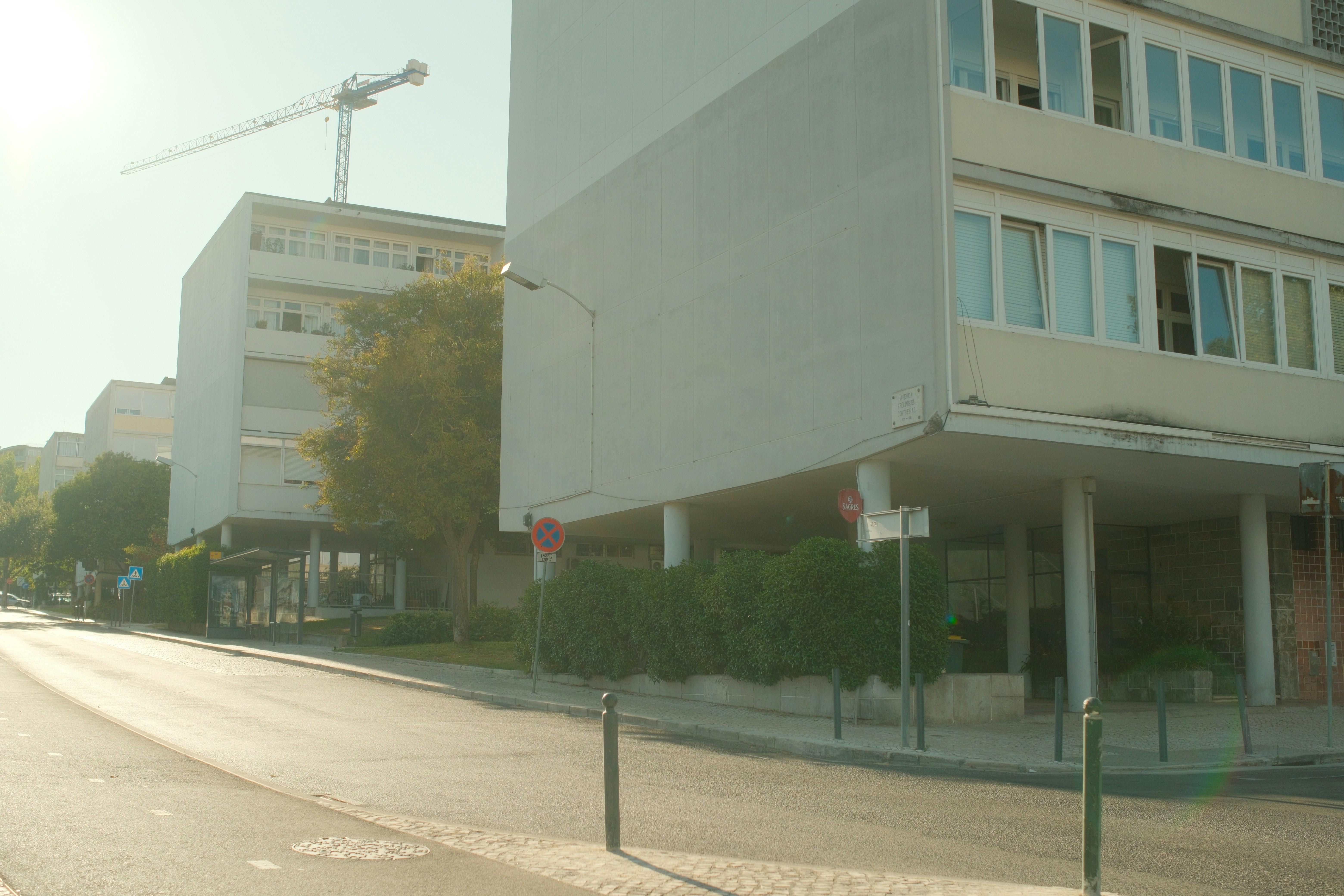 Sunlit Campus Street with Modernist building