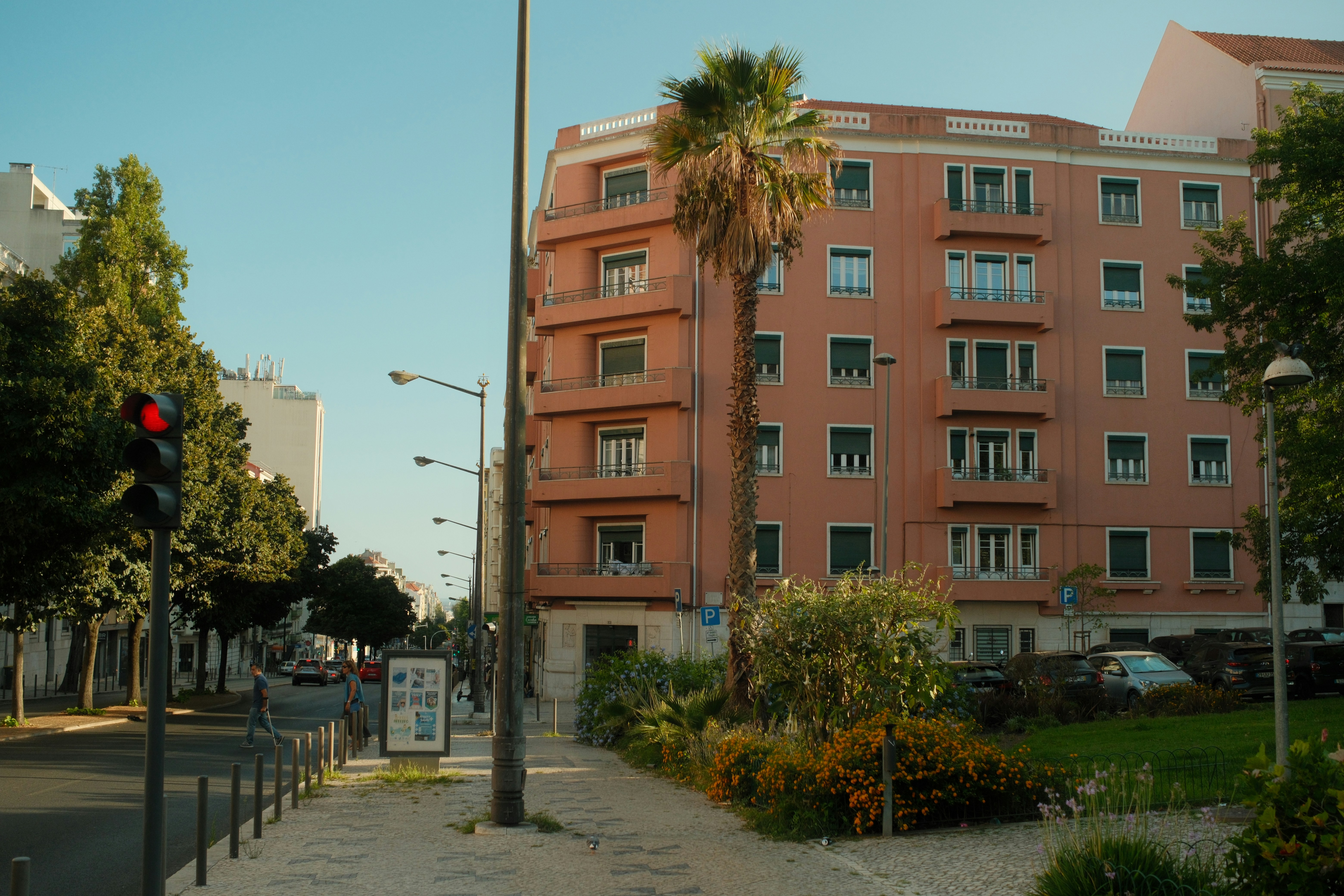 Sunlit Pink Bloc: A Quiet Street Portrait with Palm and Parked Cars