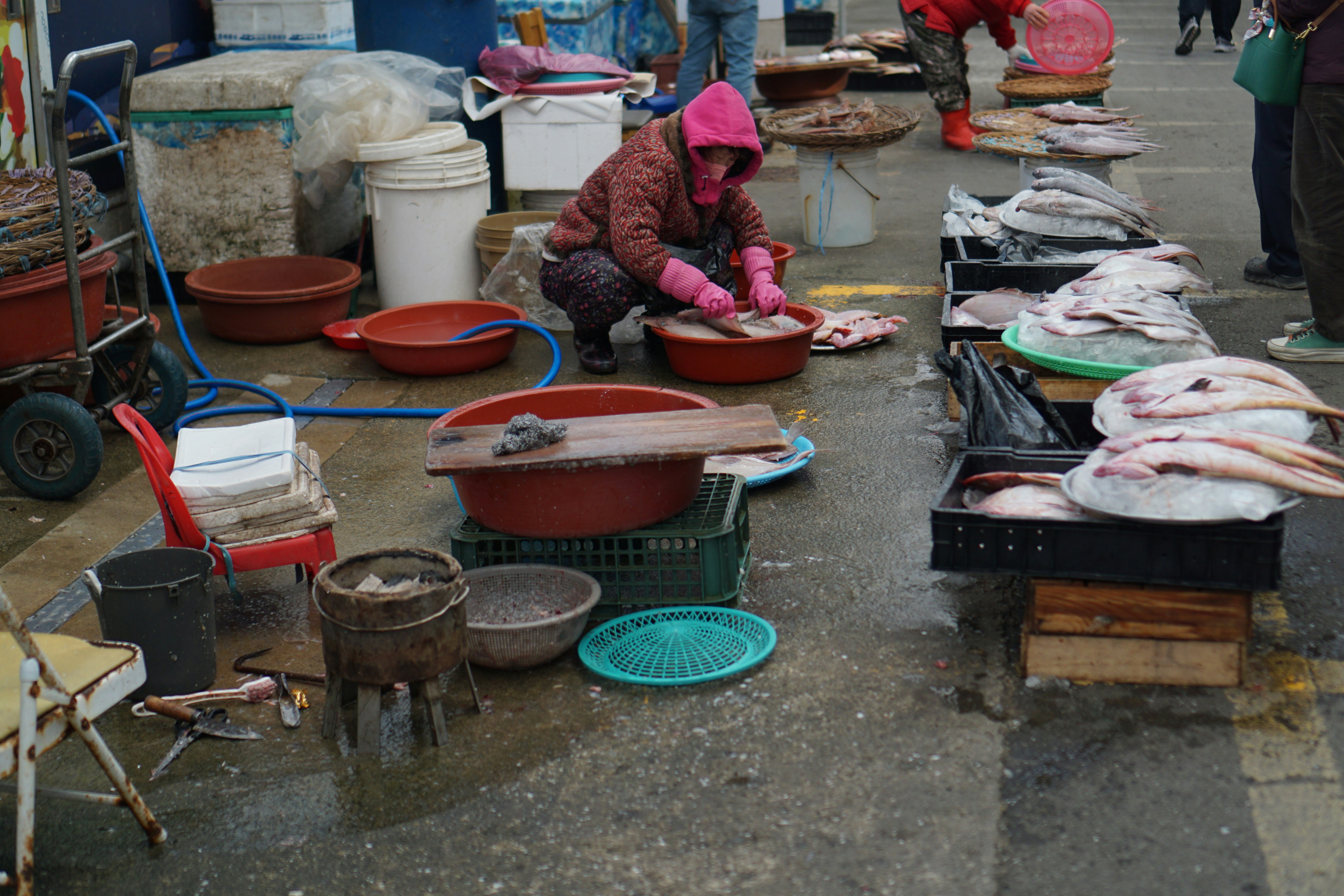 Hushed Market Pot: A Fisherman's Row at the Wet Market