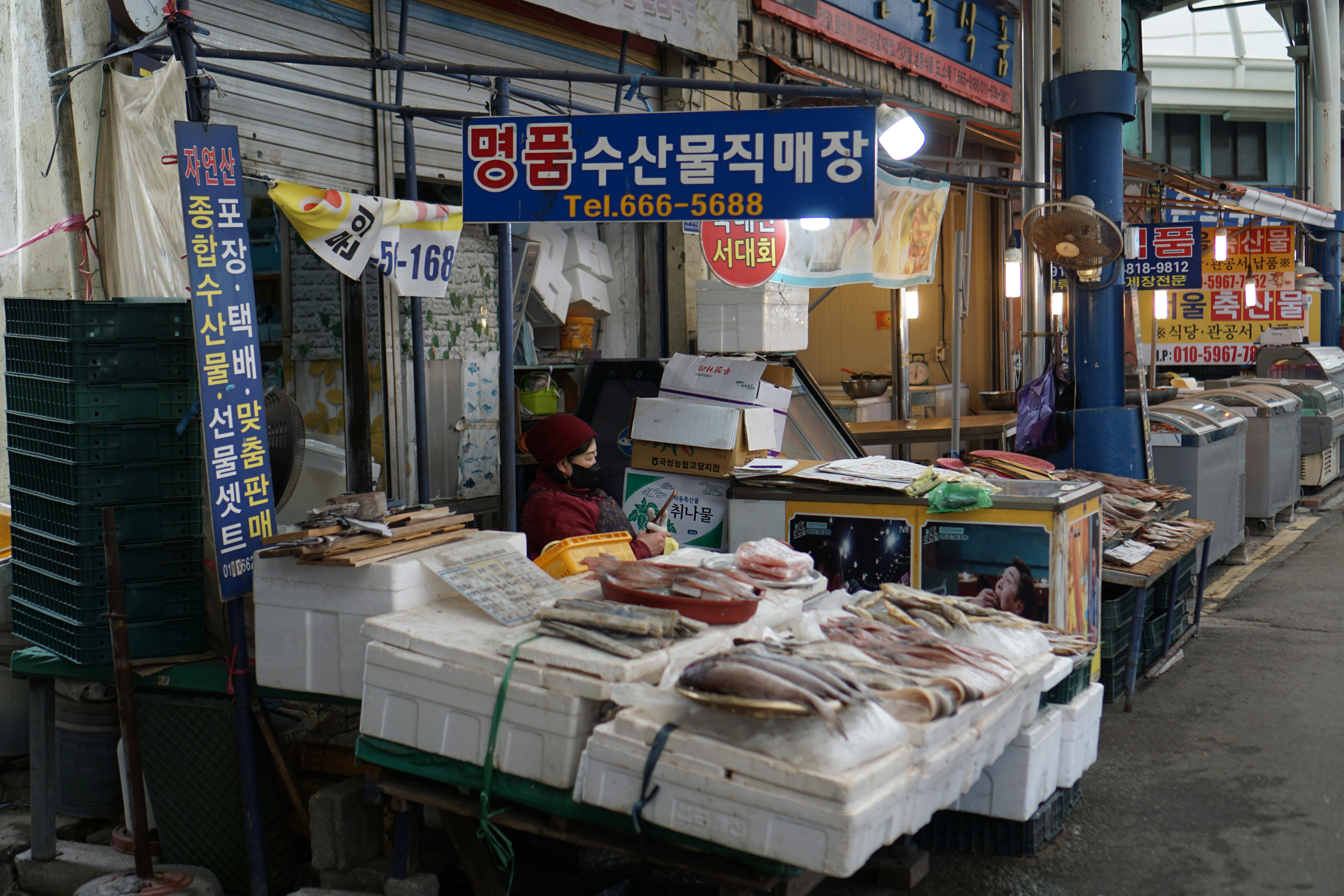 Market Stand with Fresh Catch: A Korean Seafood Alley