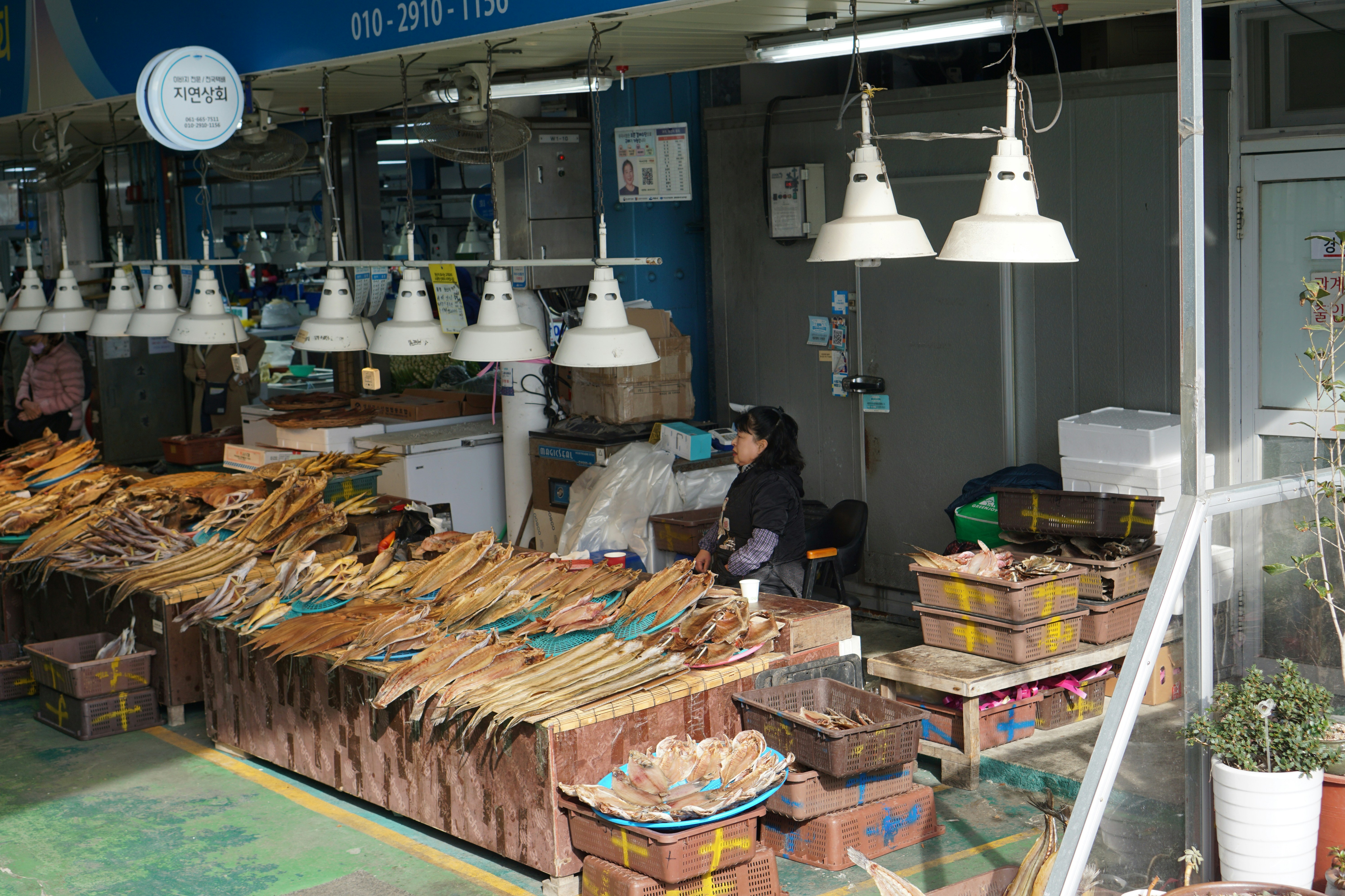 Rows of dried fish on display at a seaside market