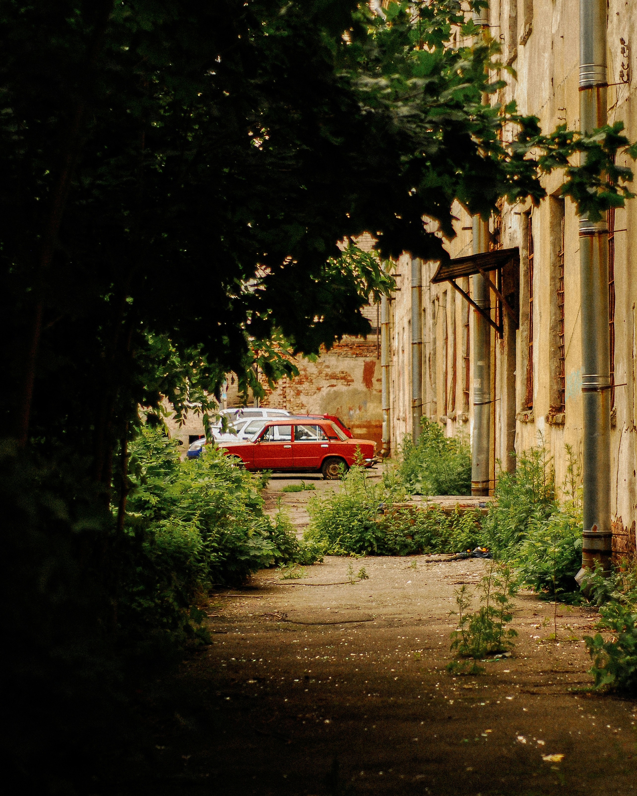 Red Coupe in the Quiet Alley: Nature Reclaims a Sunlit Corner