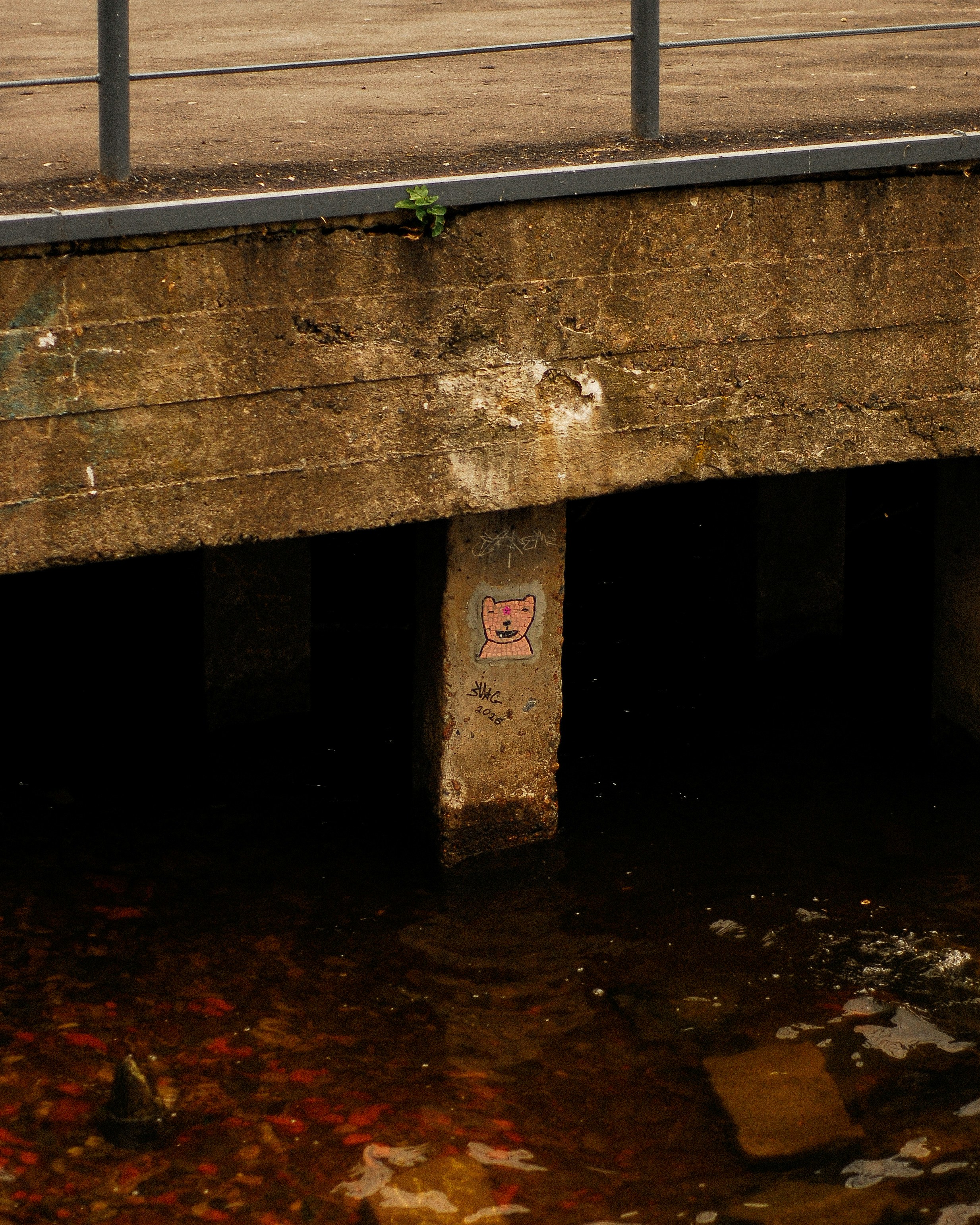 Graffiti Bear Adrift Under a Concrete Bridge