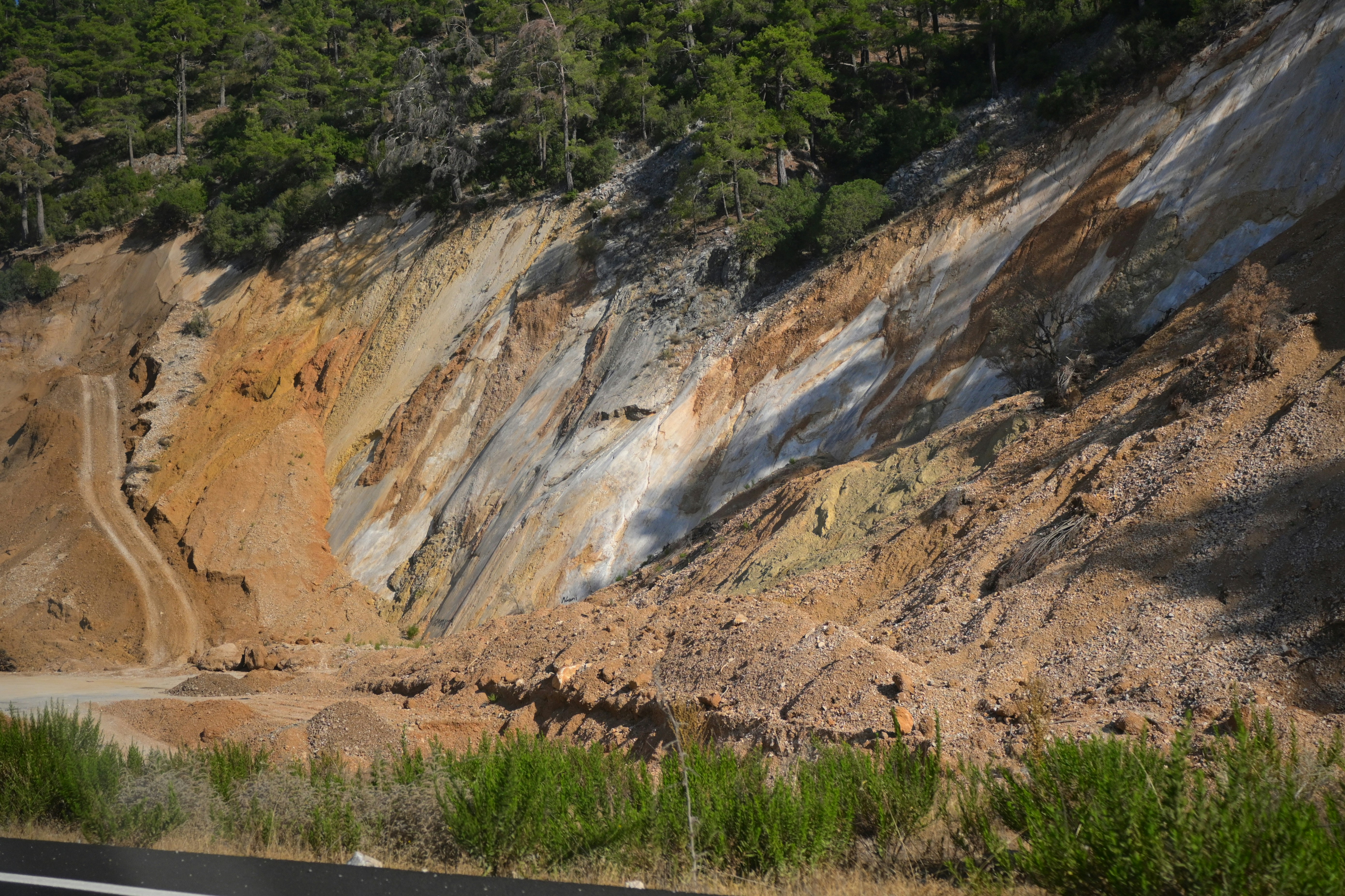 Striated Cliffside Reveal: Earth Tones and Pine Fringes
