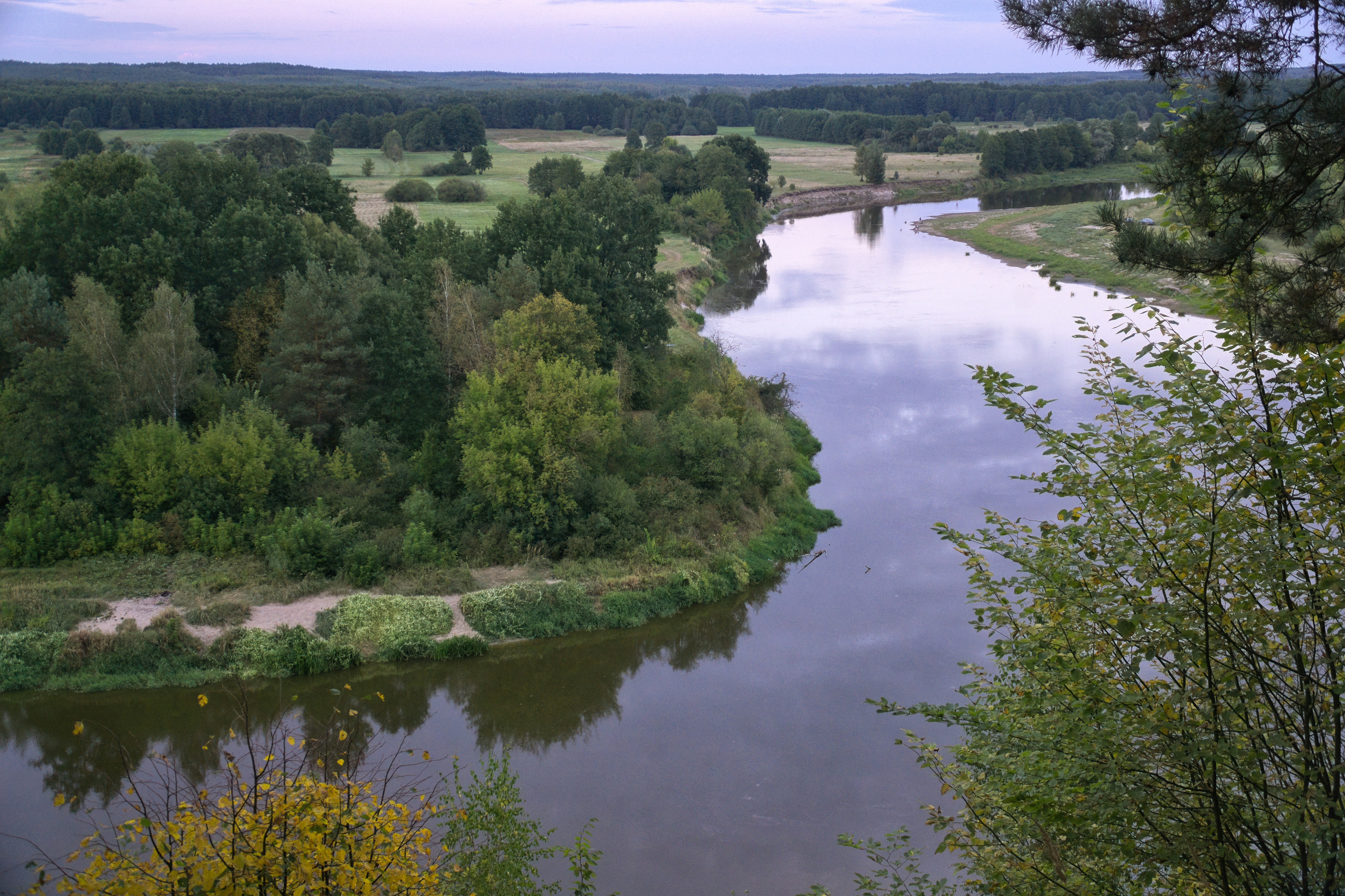 Riverbend Vista: A Quiet Confluence Between Fields and Forest