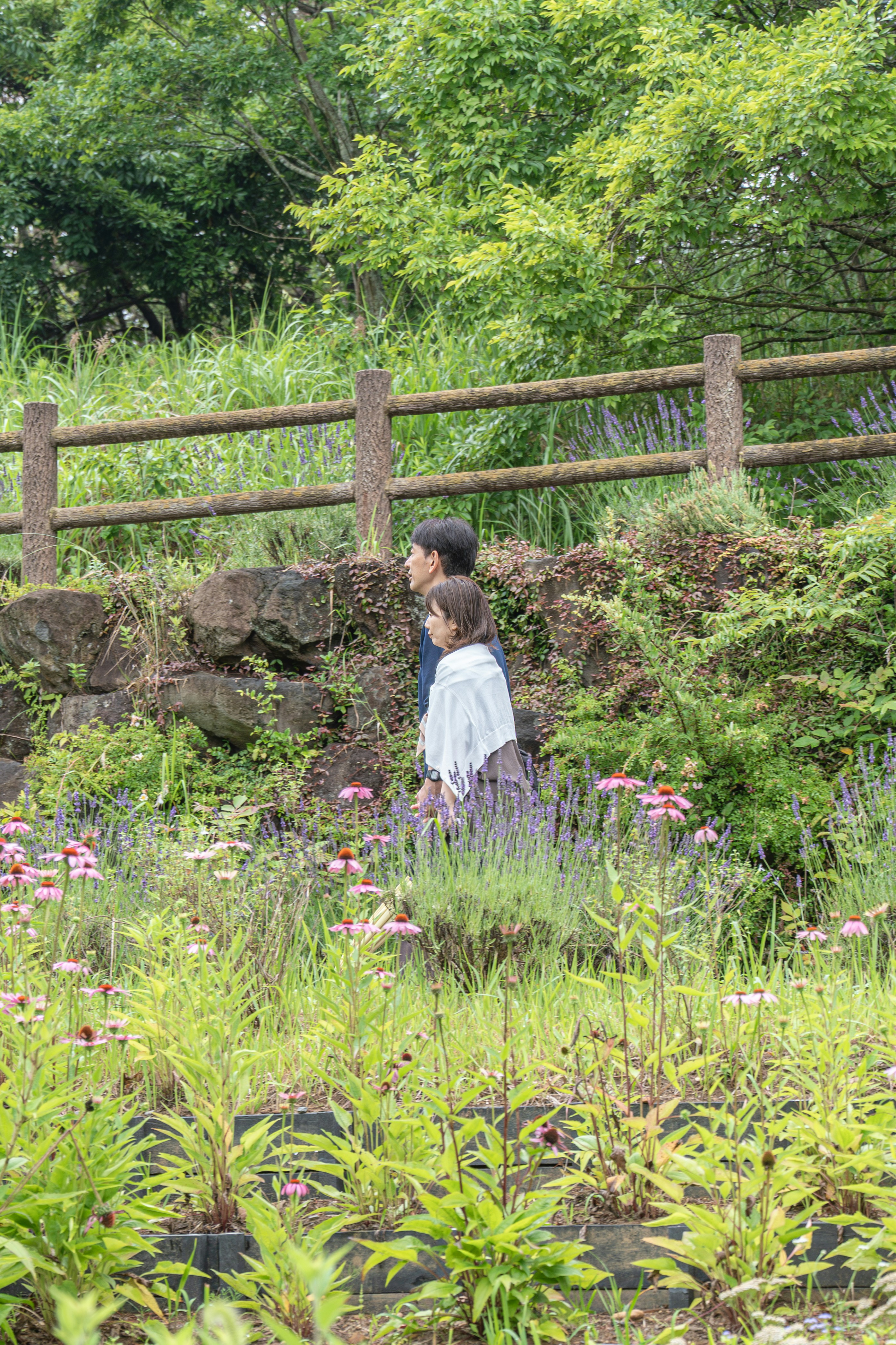 Garden Walk: Quiet Companions Among Wildflowers