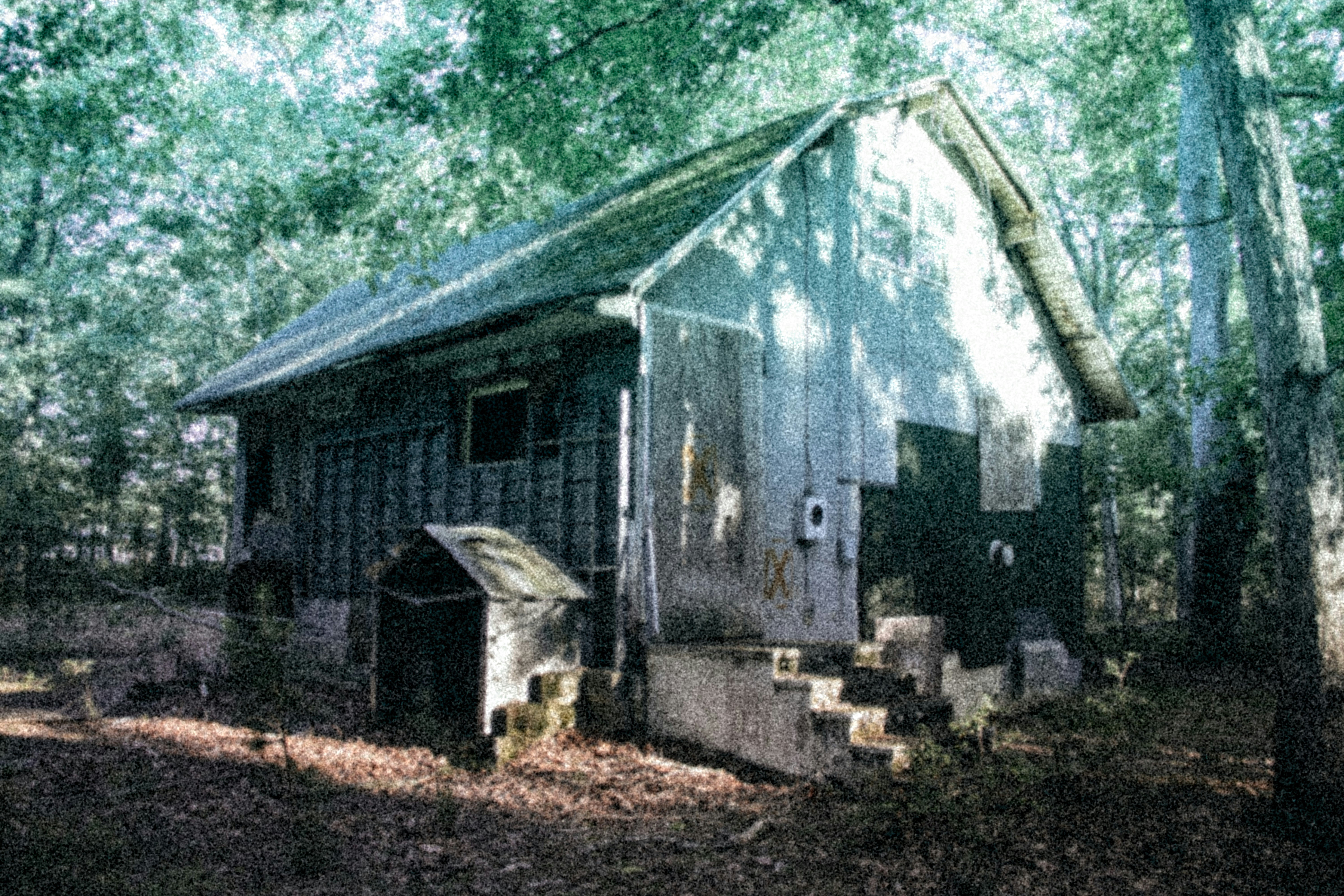 Sunlight Sidelit Shack: Weathered Cabin in a Quiet Clearing