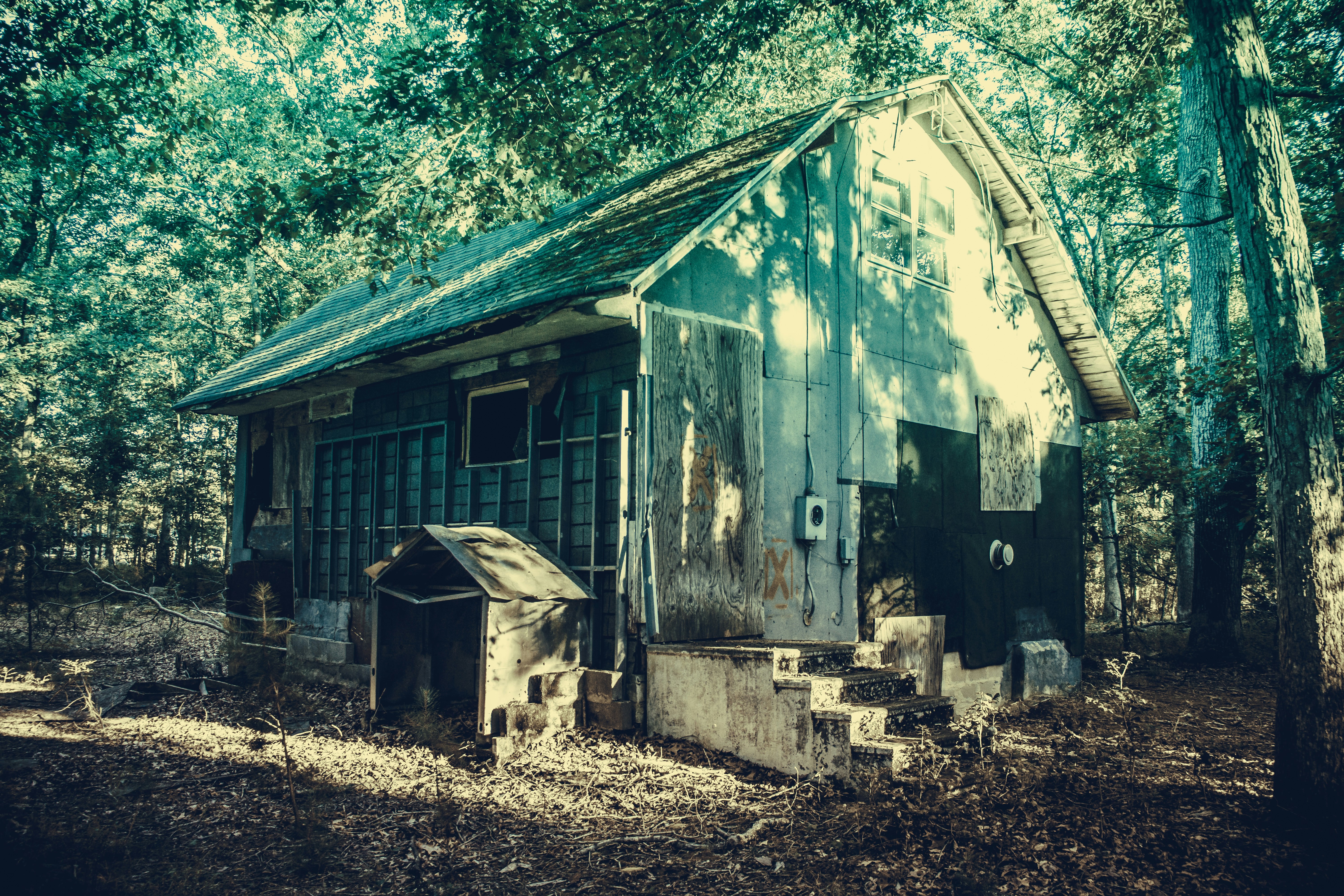 Weathered cabin tucked among trees, with steps and a small doghouse in front; subdued, nostalgic scene suggesting quiet decay and forest isolation.