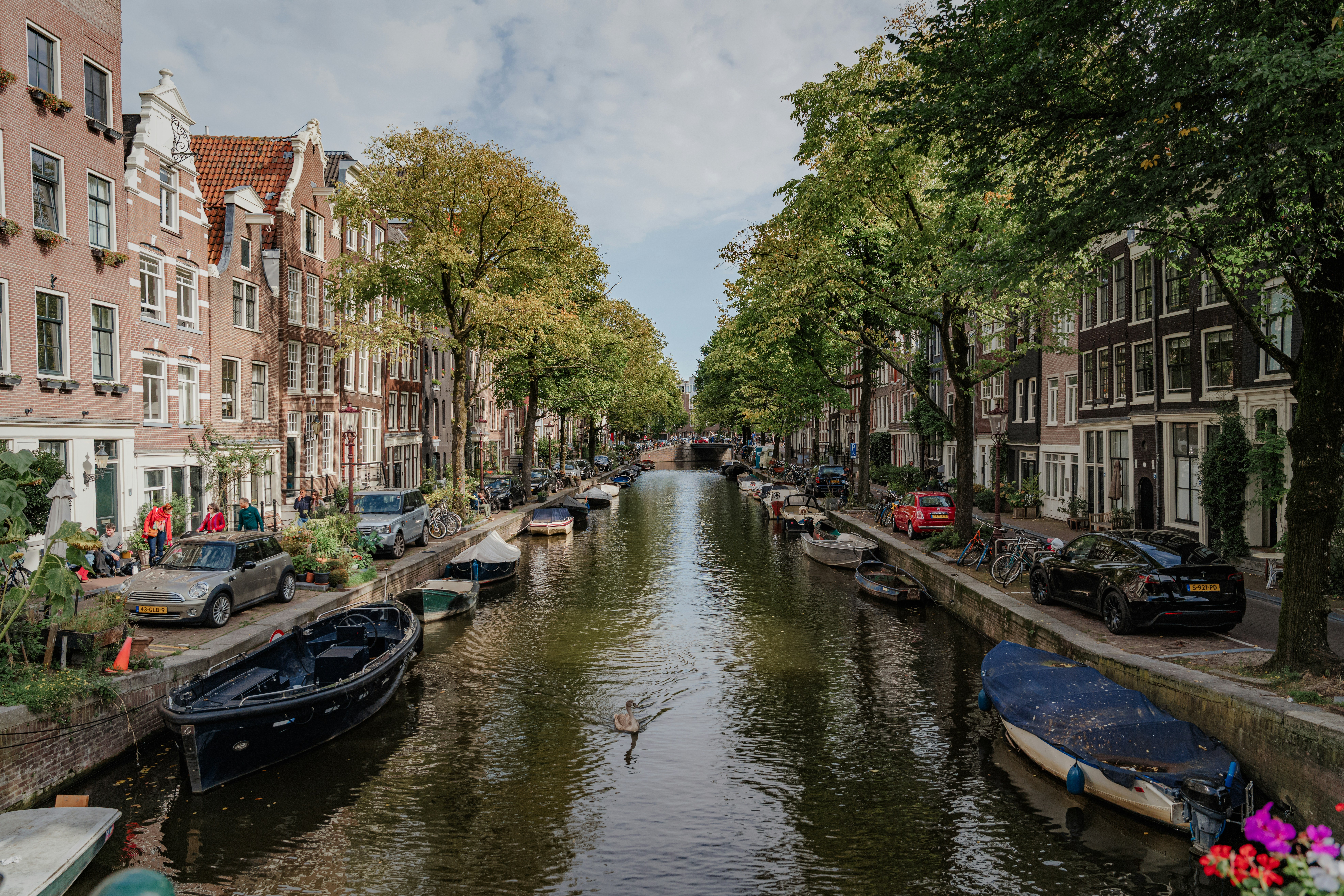 Canal Bloom: Trees, Boats, and Brick Facades Framing a Dutch Street