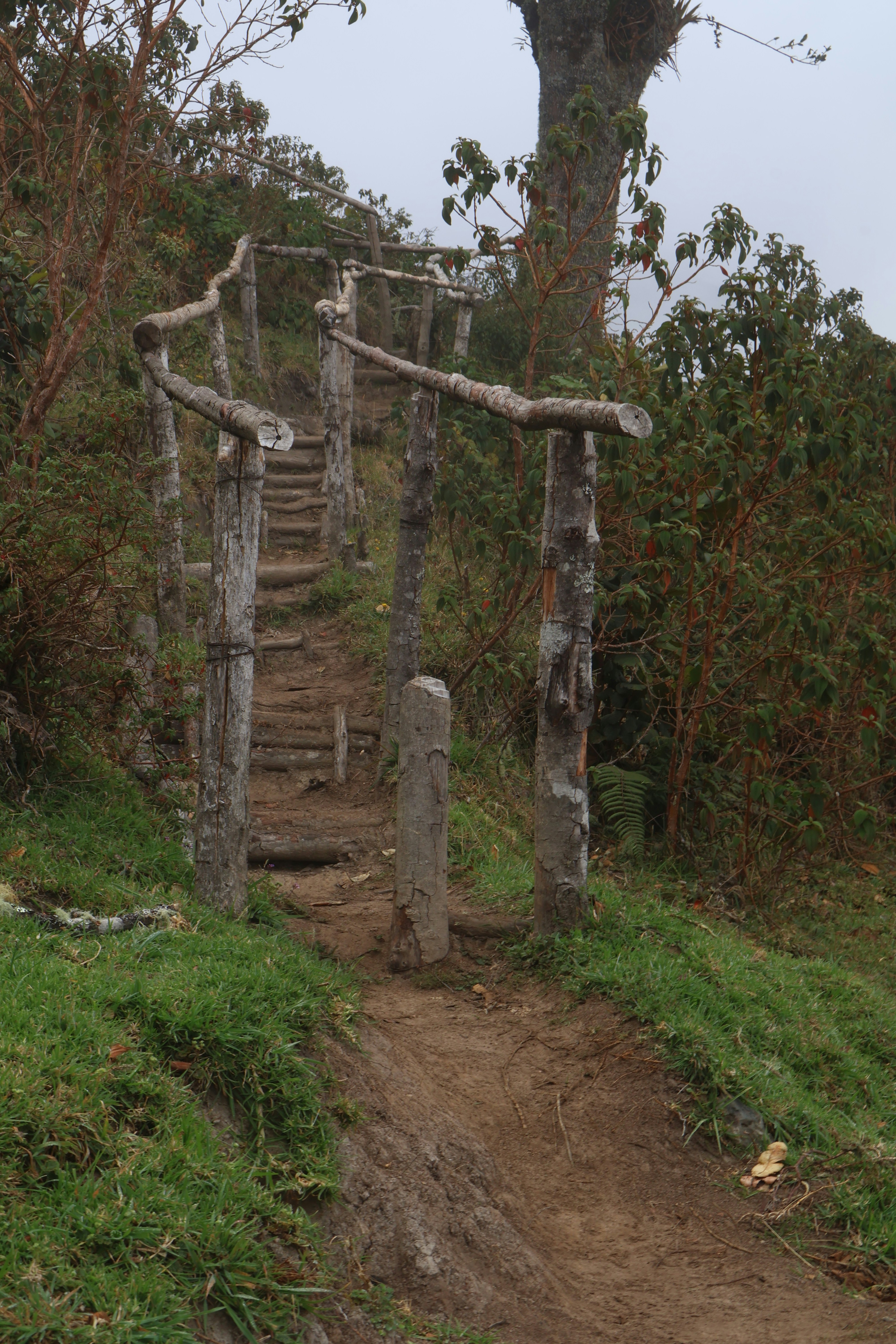 Weathered Pathway Through a Rustic Wooden Arch