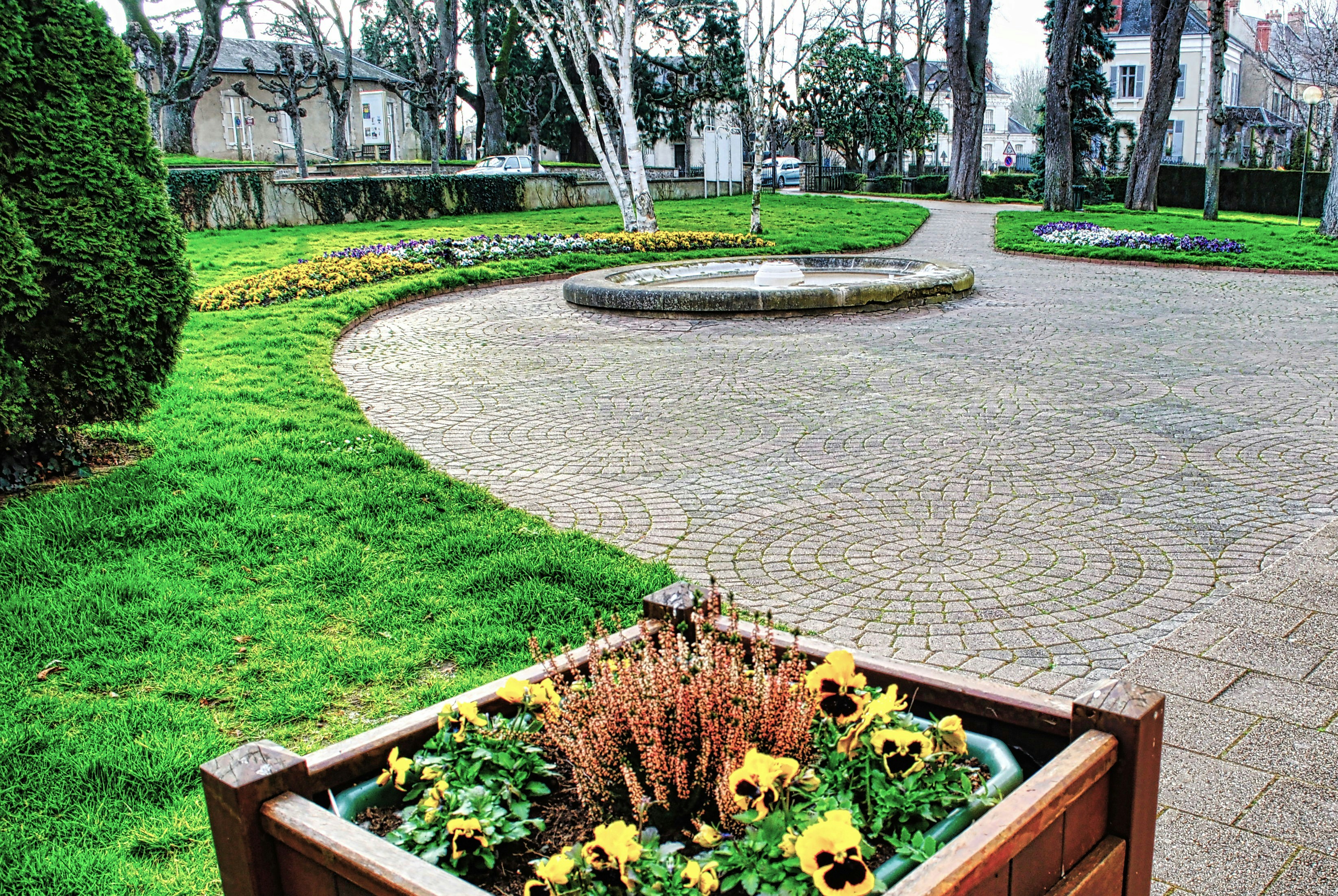 Circular Plaza Framed by Greenery and Planter Corner