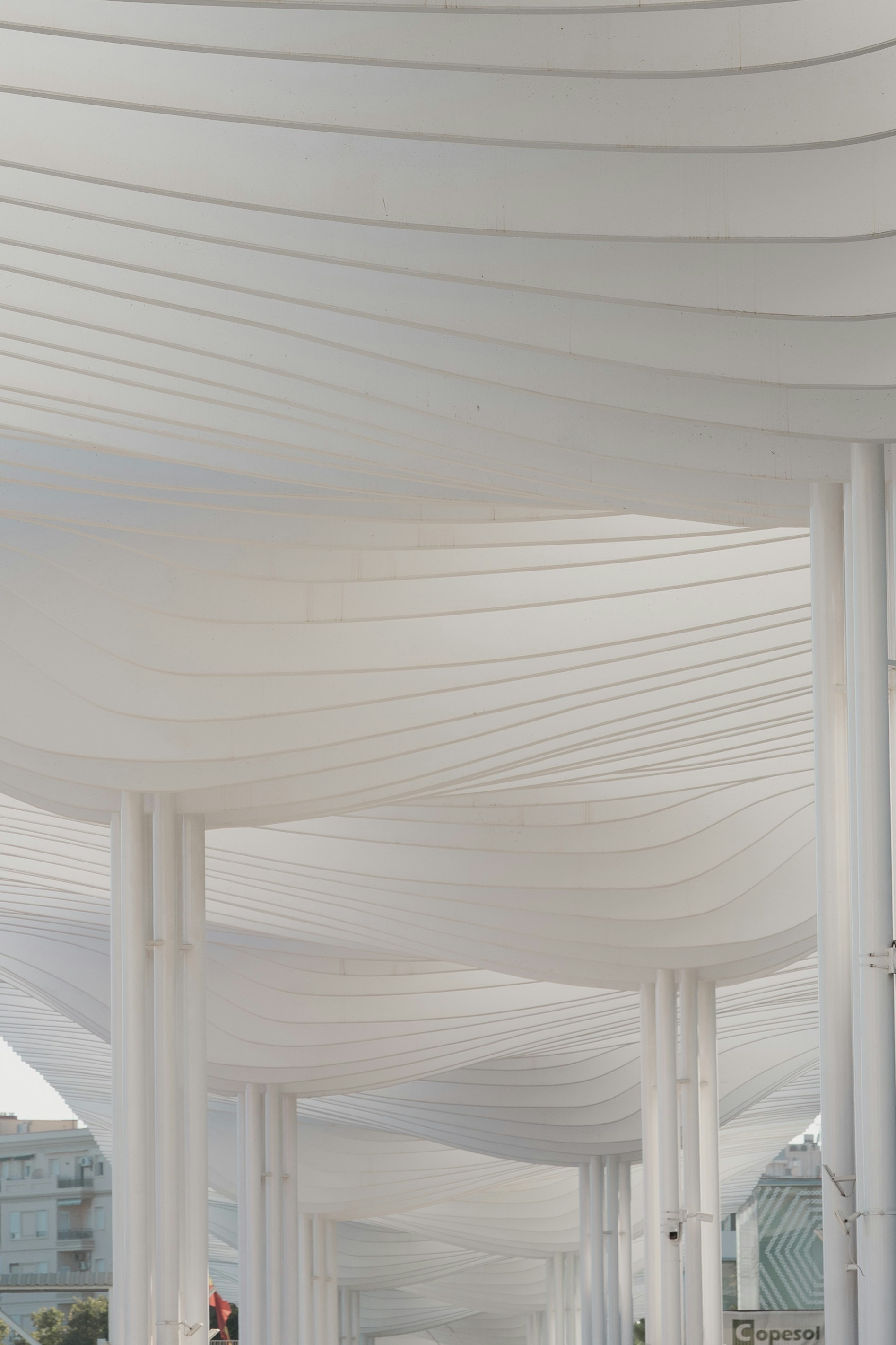 White Wave: A Corridor of Curves Under Painted Skies