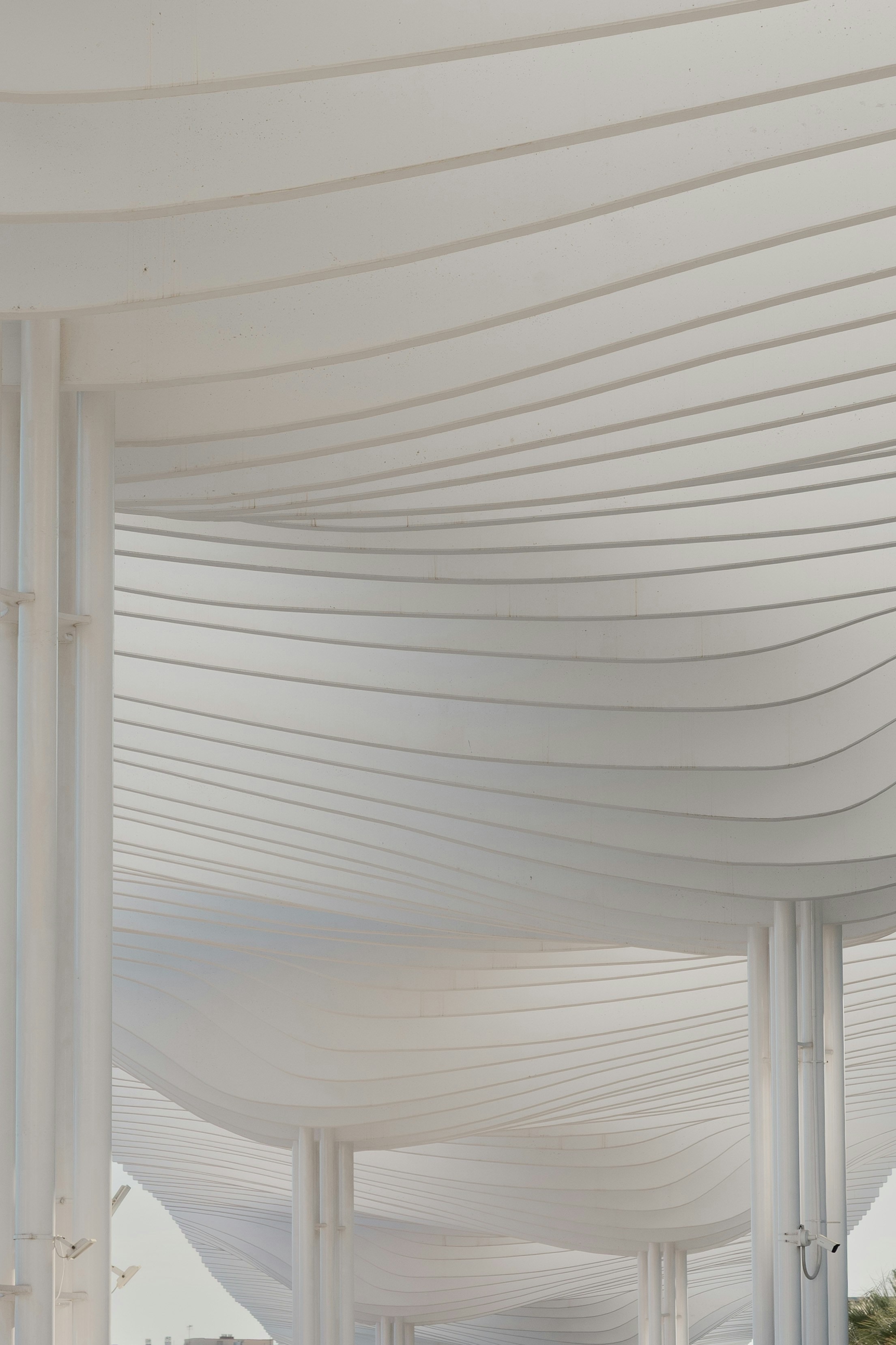 Curved White Canopy Arches over Slim Columns